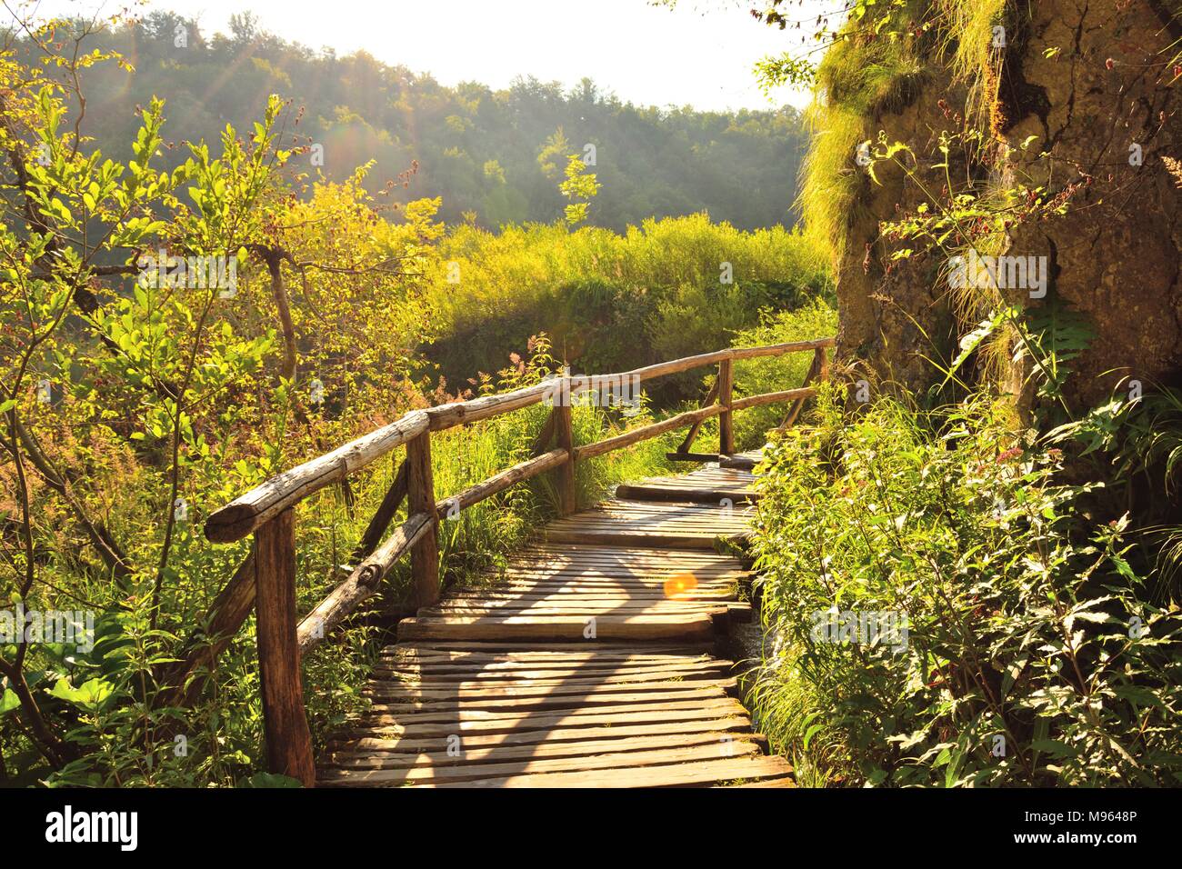 Path in national park Stock Photo - Alamy