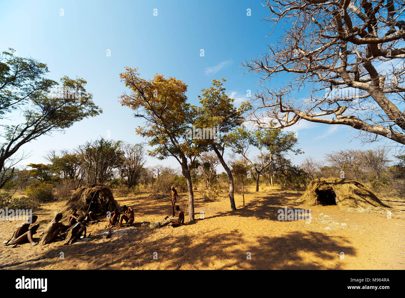 Ju/'Hoansi or San bushmen in daily activities at their village ...