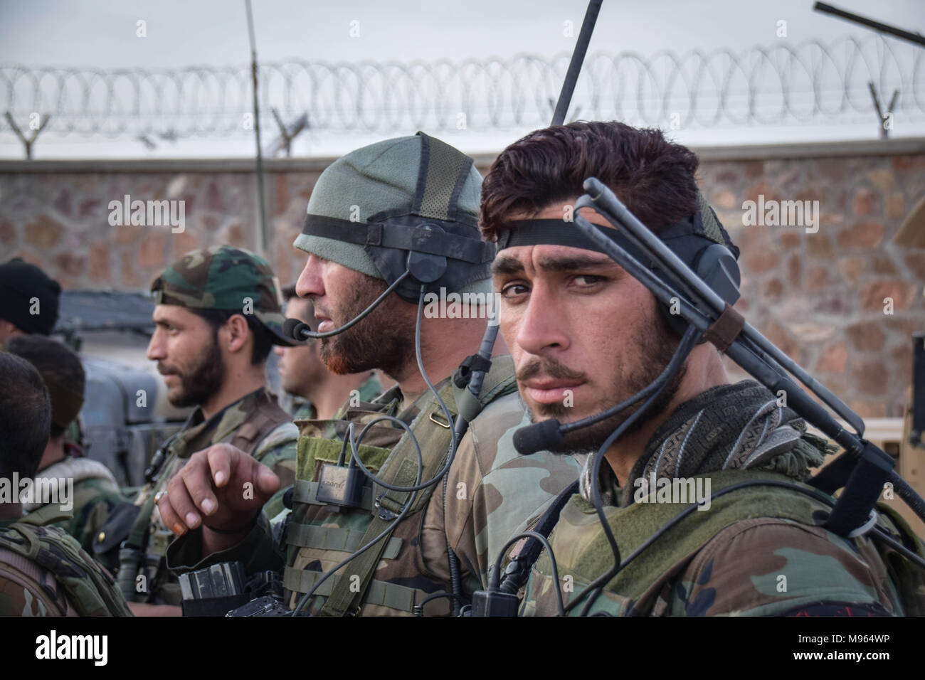 Adnsf hi-res stock photography and images - Alamy