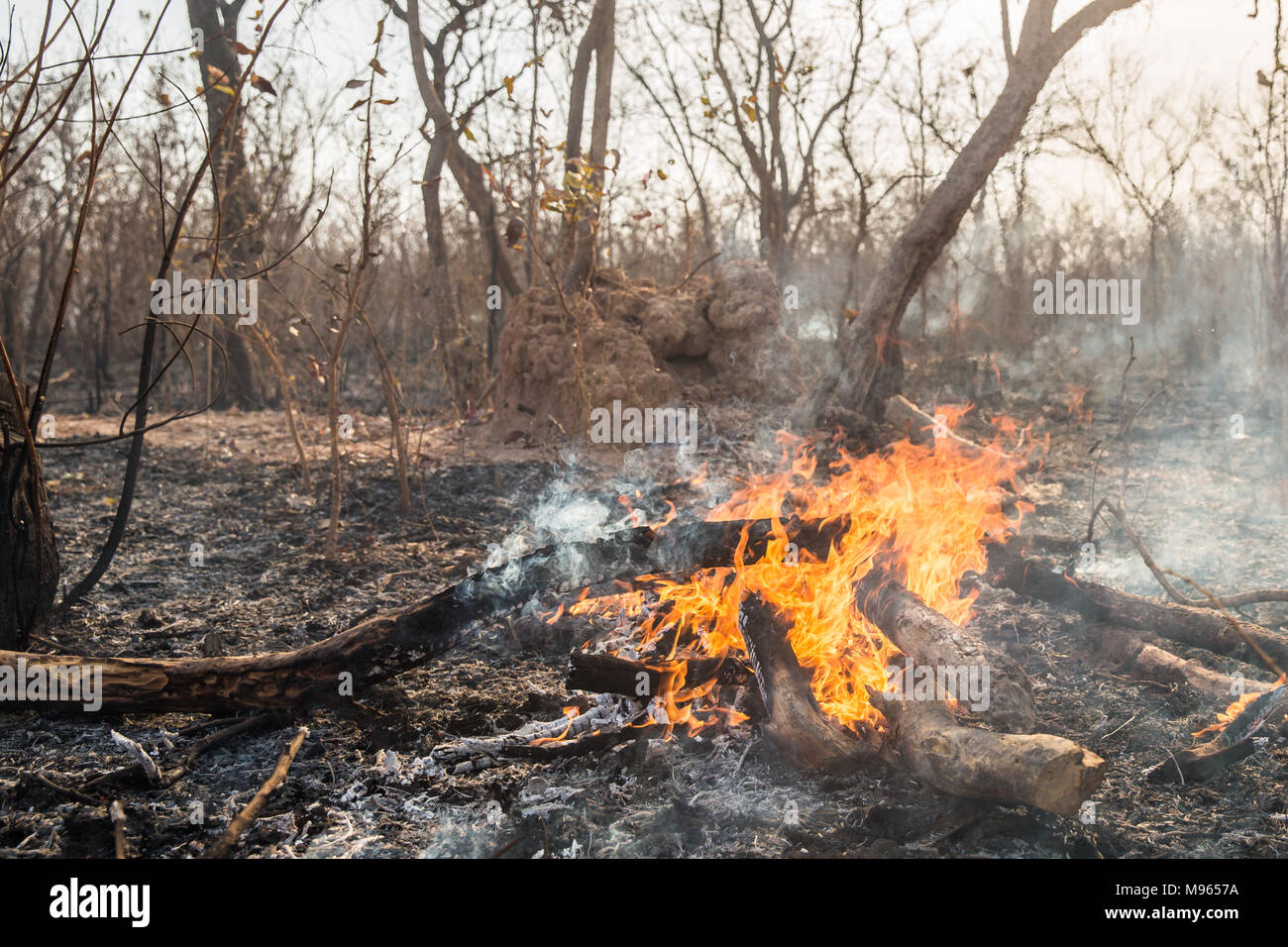 Sahel region africa hi-res stock photography and images - Alamy