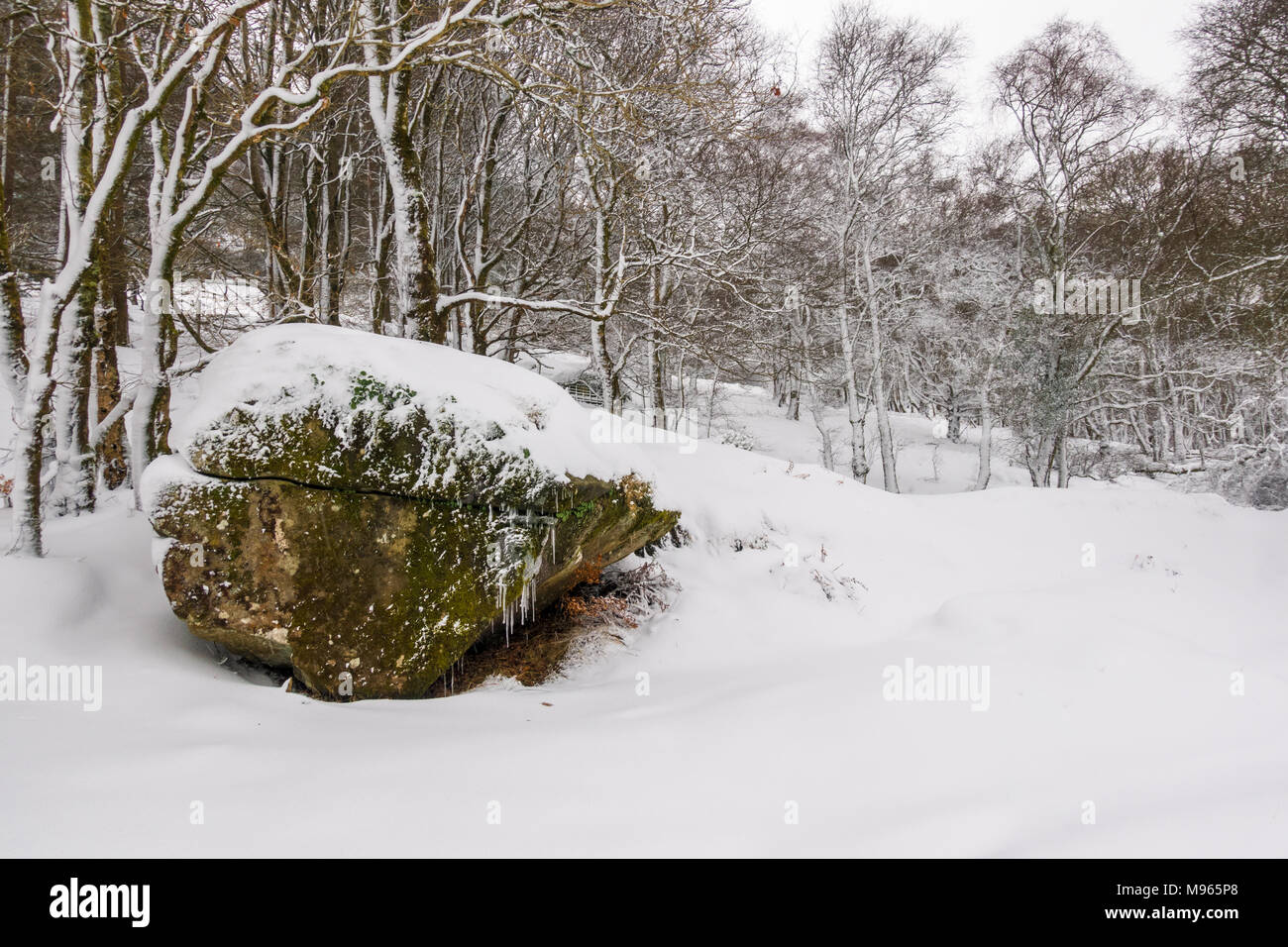 Ireland winter hi-res stock photography and images - Alamy
