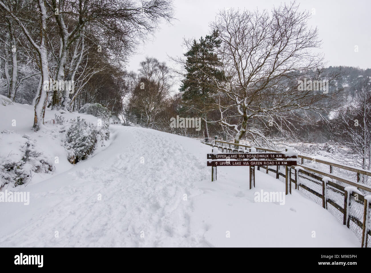 Irish snowy winter hi-res stock photography and images - Alamy