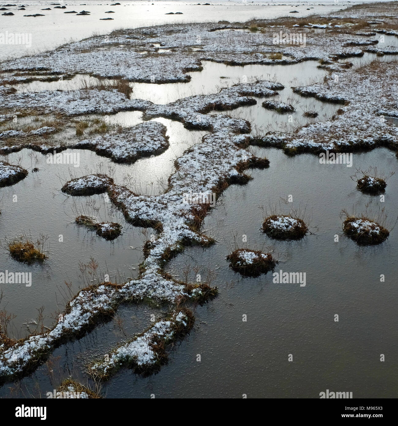 Frost on salt marsh hi-res stock photography and images - Alamy