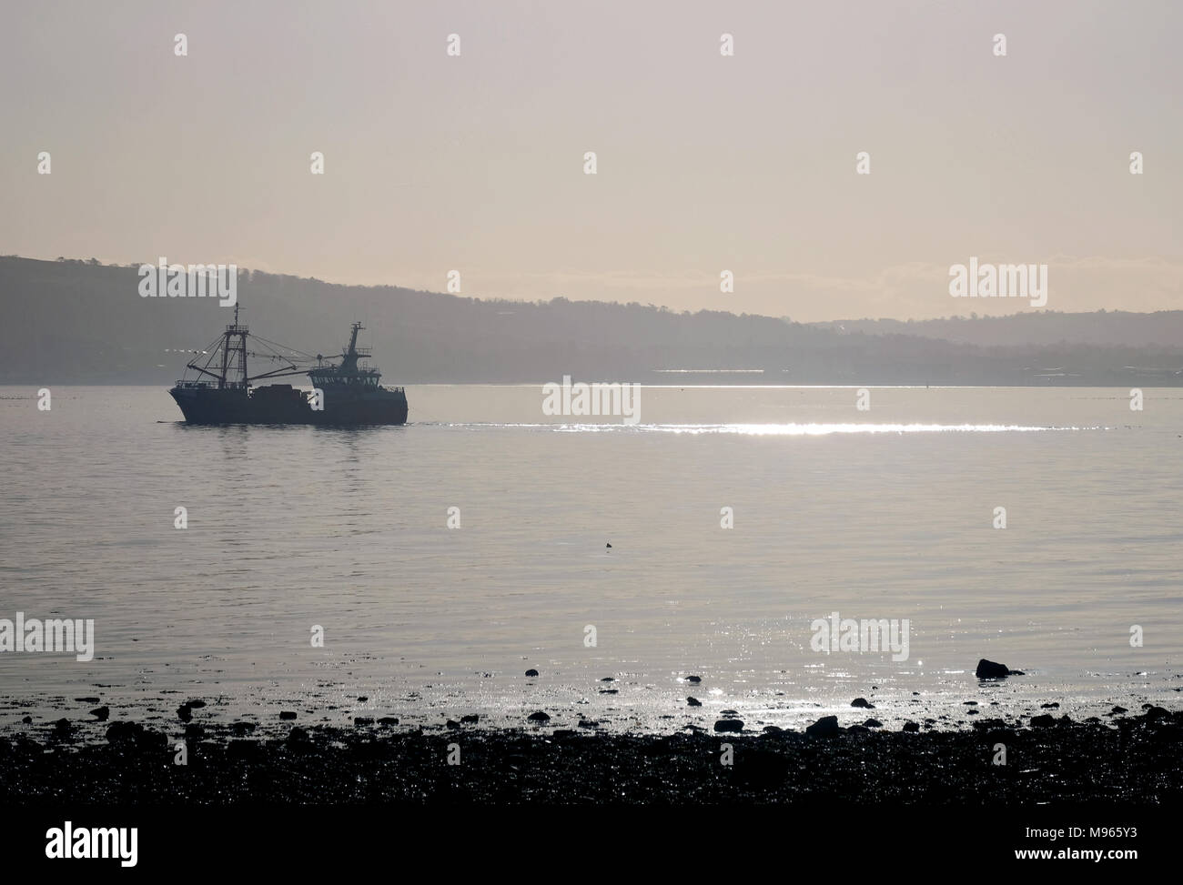 Shellfish trawler on Belfast Lough Stock Photo - Alamy