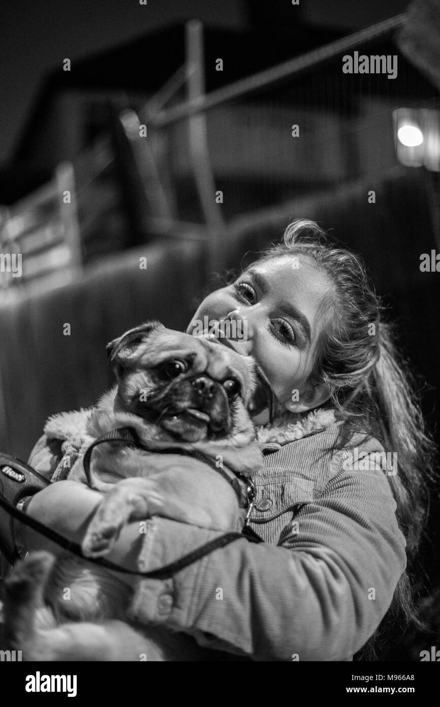 Pugs are the cutest dogs alive ! Stock Photo - Alamy