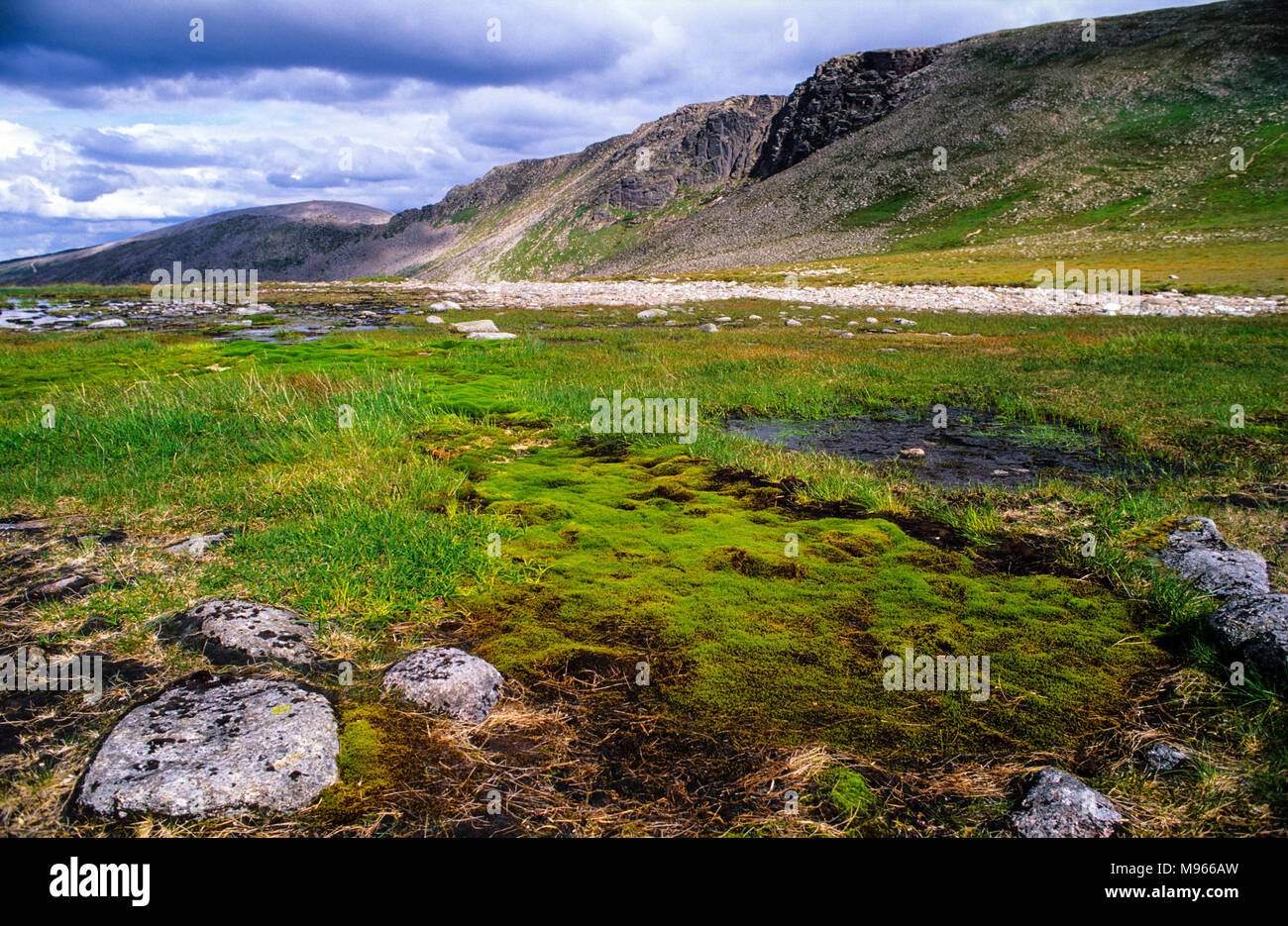 Raised bogs scotland hi-res stock photography and images - Alamy