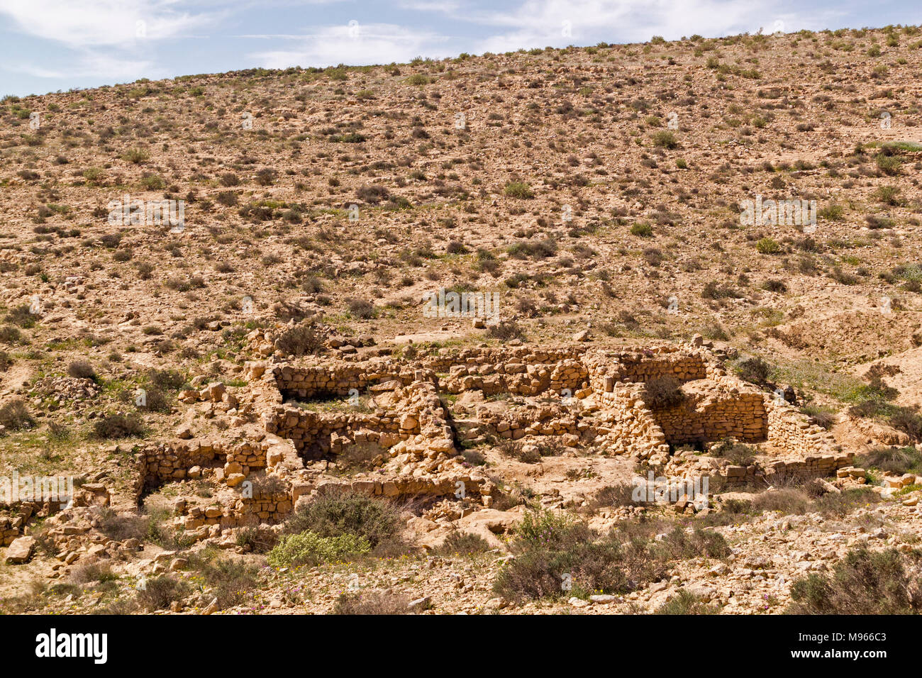 Kibbutz sde boker hi-res stock photography and images - Alamy