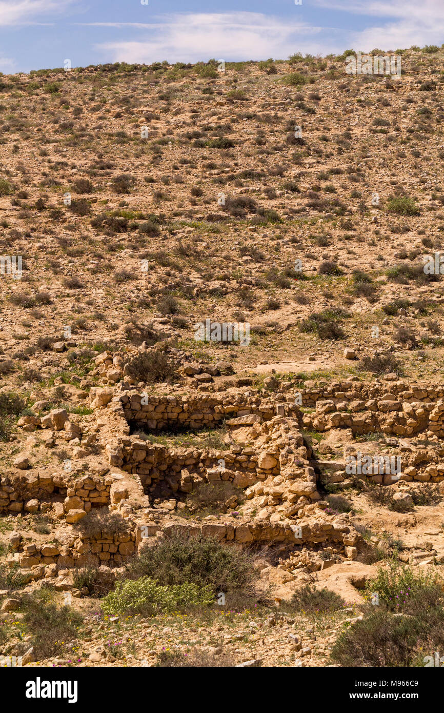 The "Lost City" is Ruins of an ancient farming settlement, located near Kibbutz Sde-Boker.Negev ...