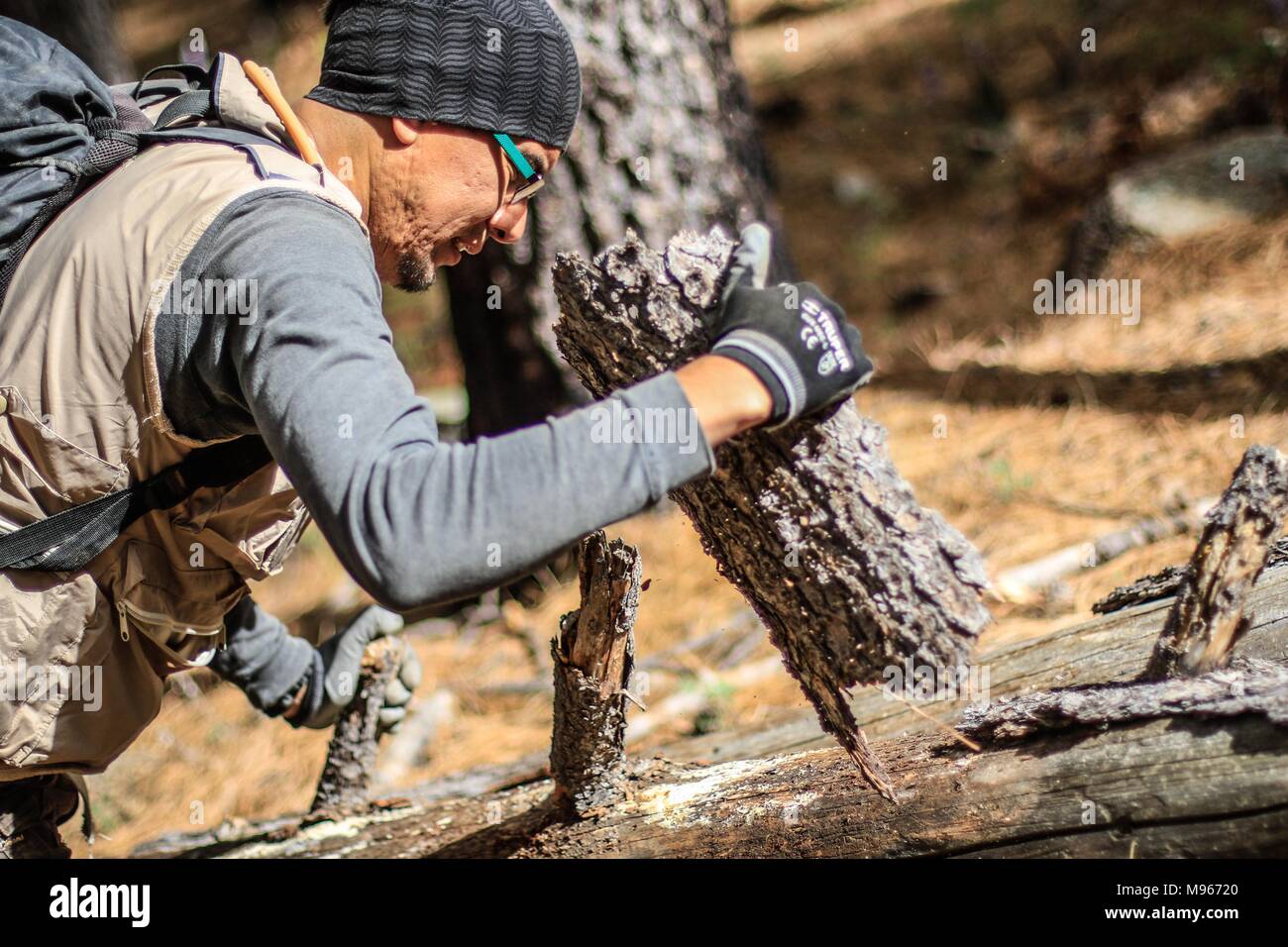 The biologist of the UNAM biology institute, Diego Barrales, looks for ...