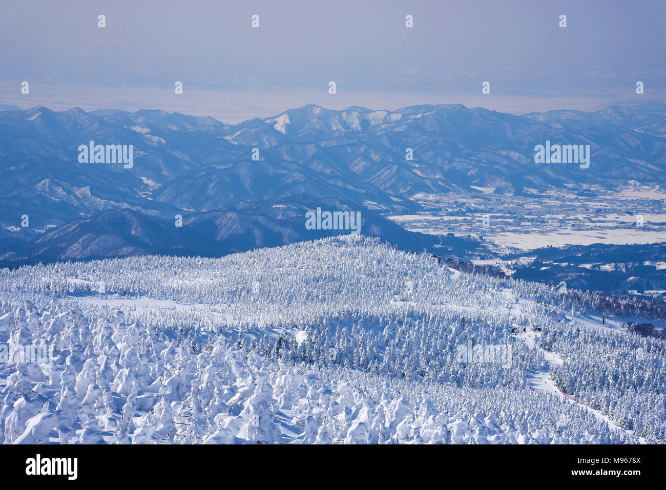 Snow monsters zao hi-res stock photography and images - Alamy