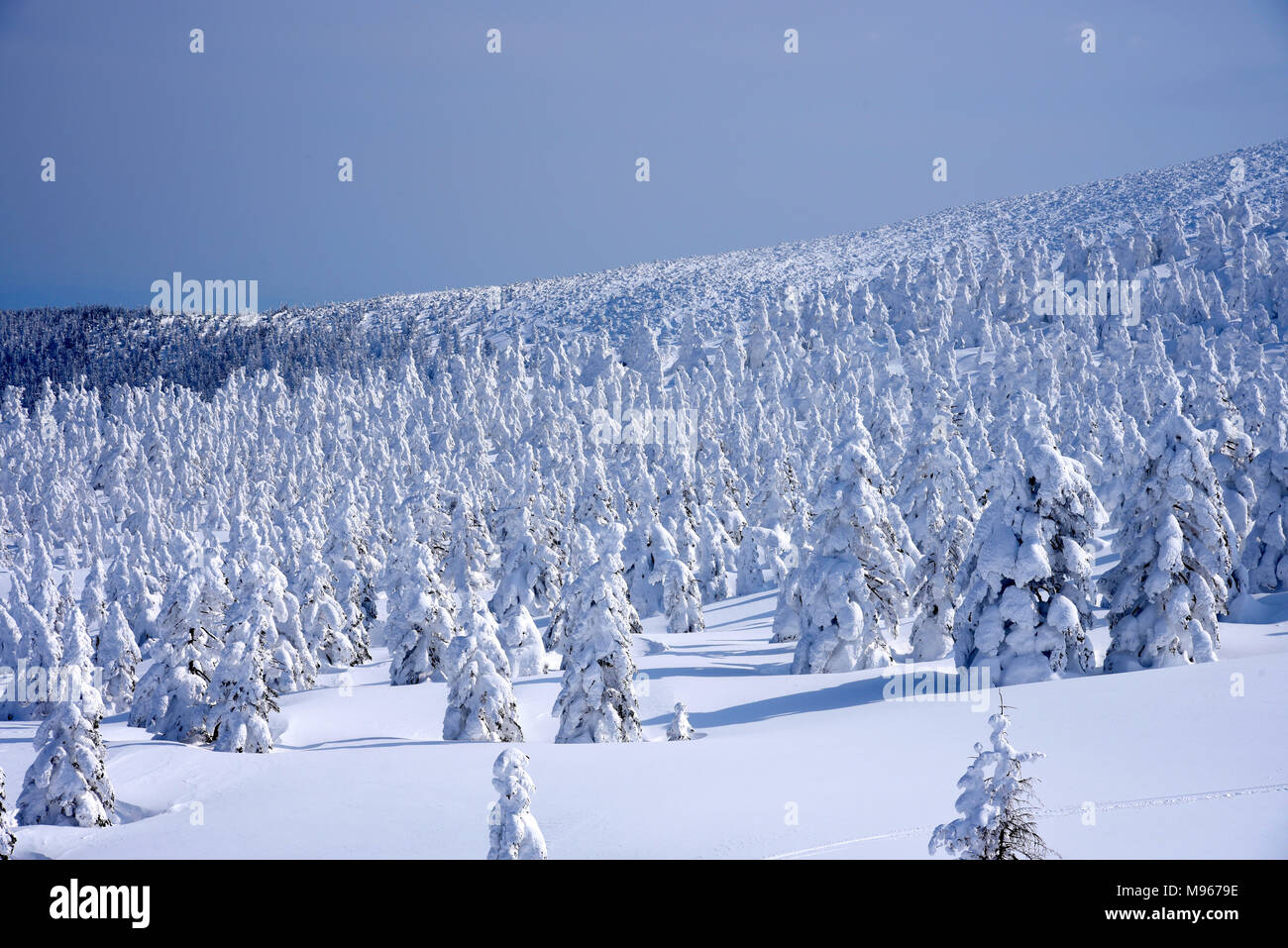 Zao hi-res stock photography and images - Alamy