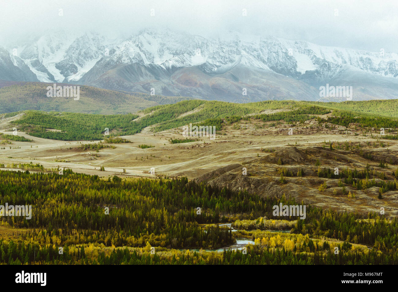 The curves of the ribbon of the river in a mountain valley. Beautiful ...