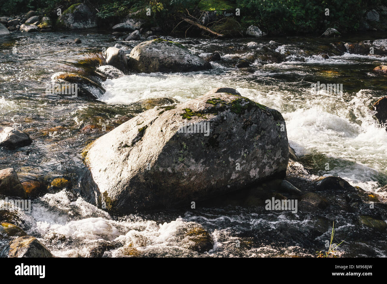 Fast mountain river in rapid flow in the green forest Stock Photo - Alamy