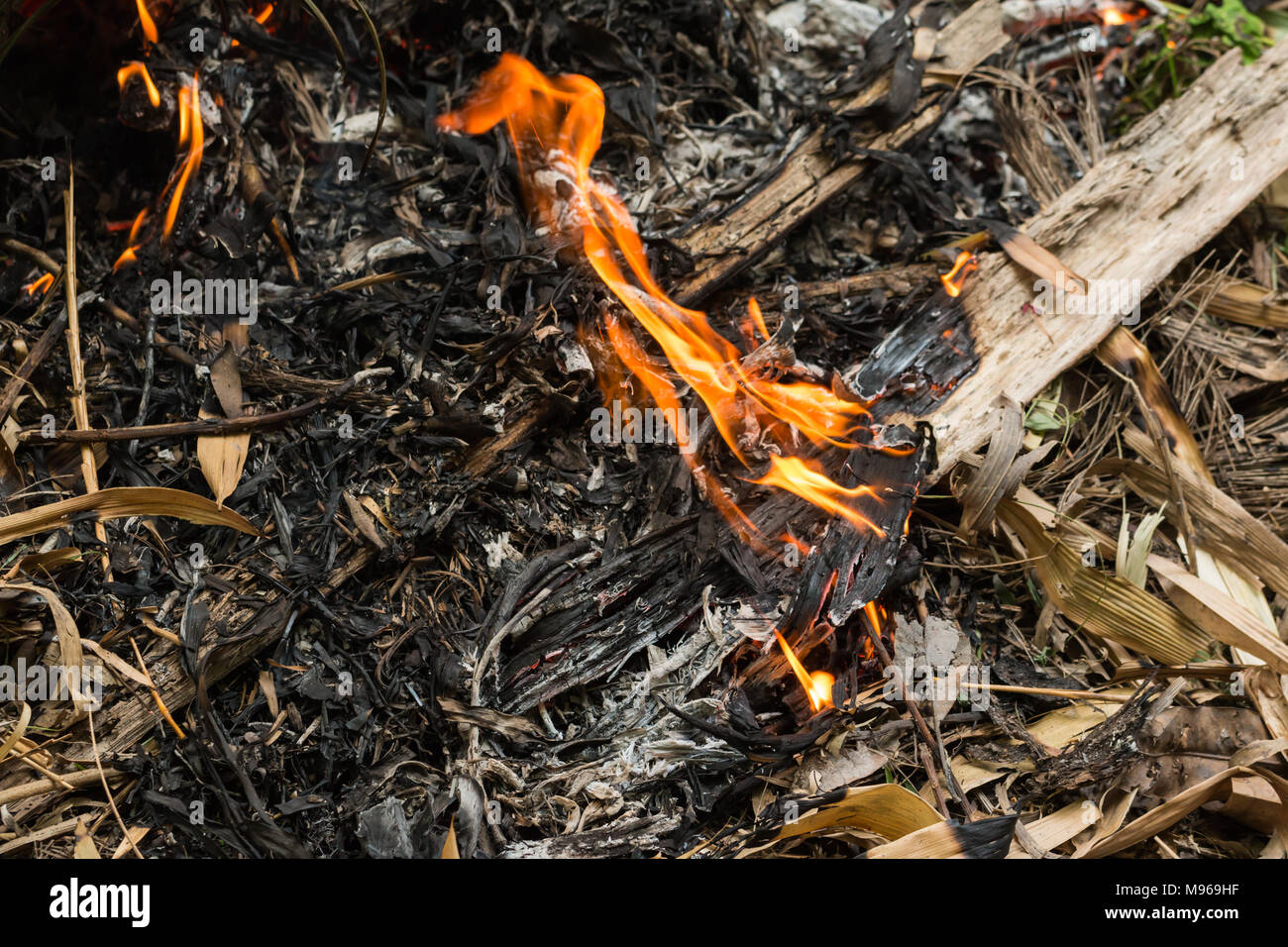 Burning leaves hi-res stock photography and images - Alamy