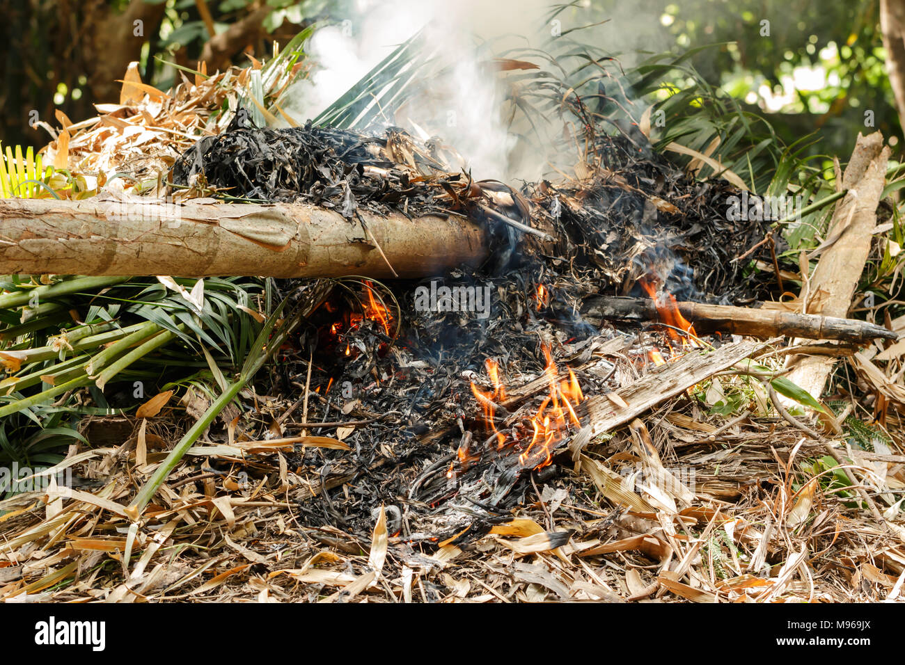 Burning leaves hi-res stock photography and images - Alamy