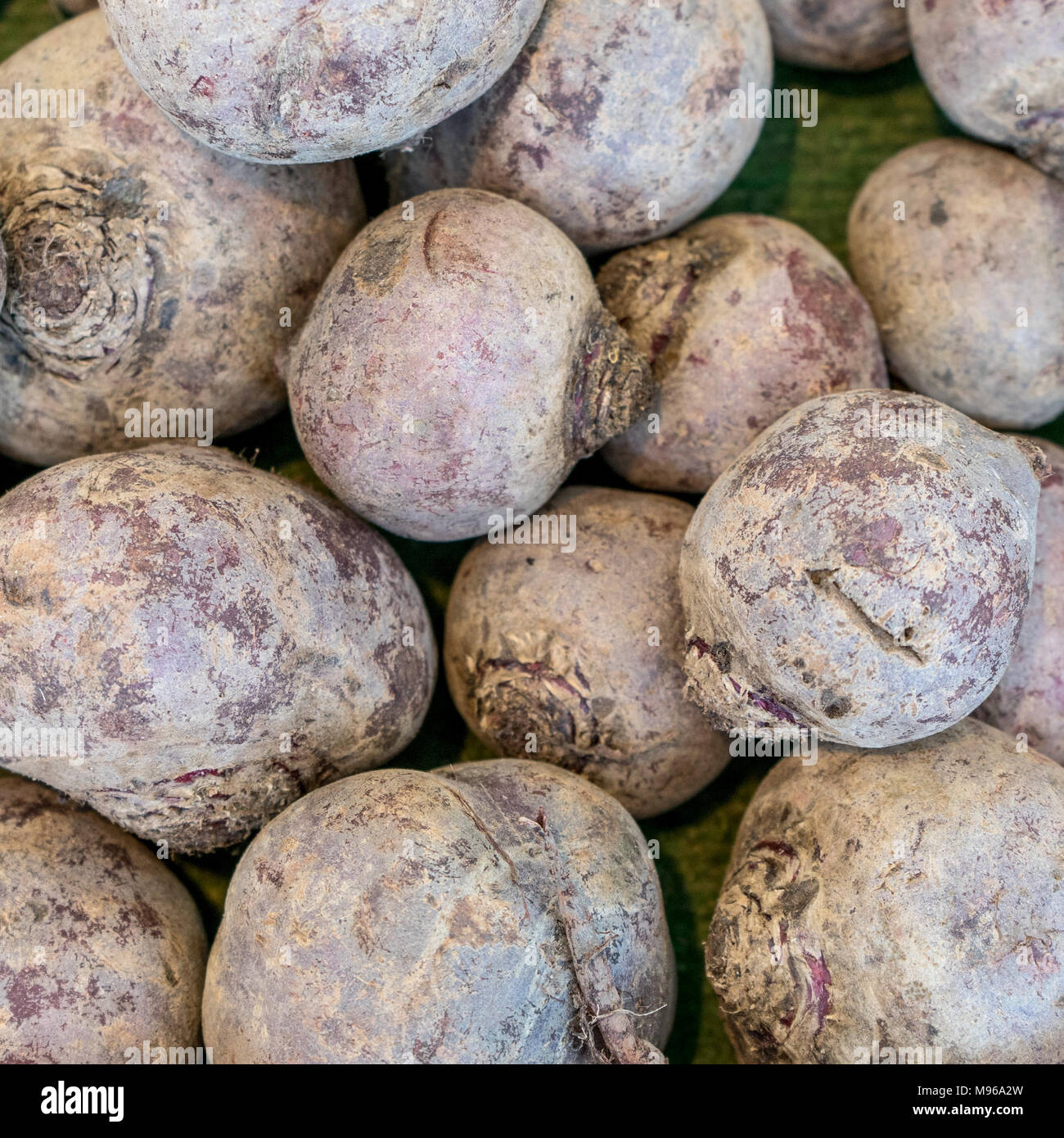 Fresh roots hi-res stock photography and images - Alamy