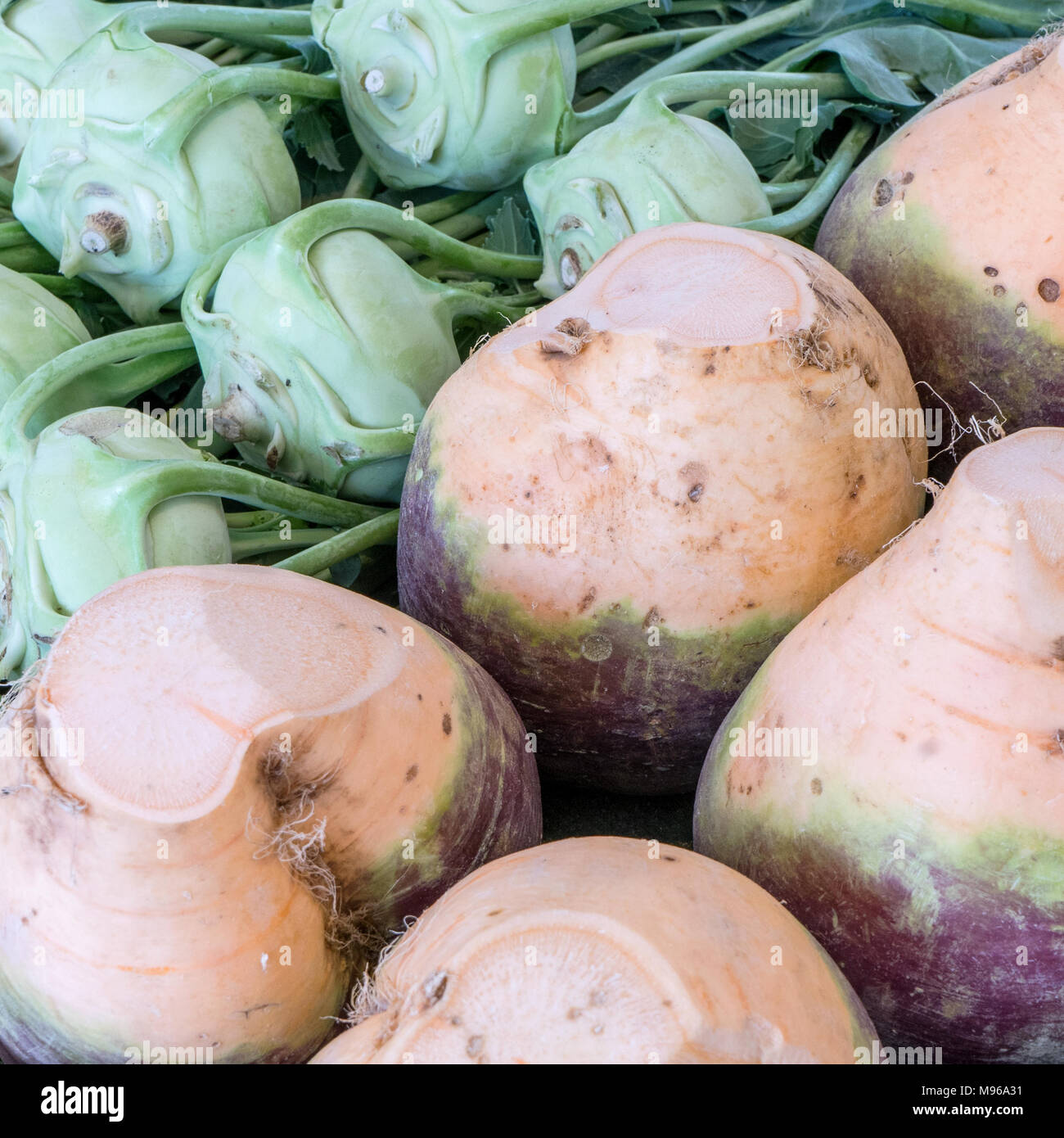 Turnips garden hi-res stock photography and images - Alamy