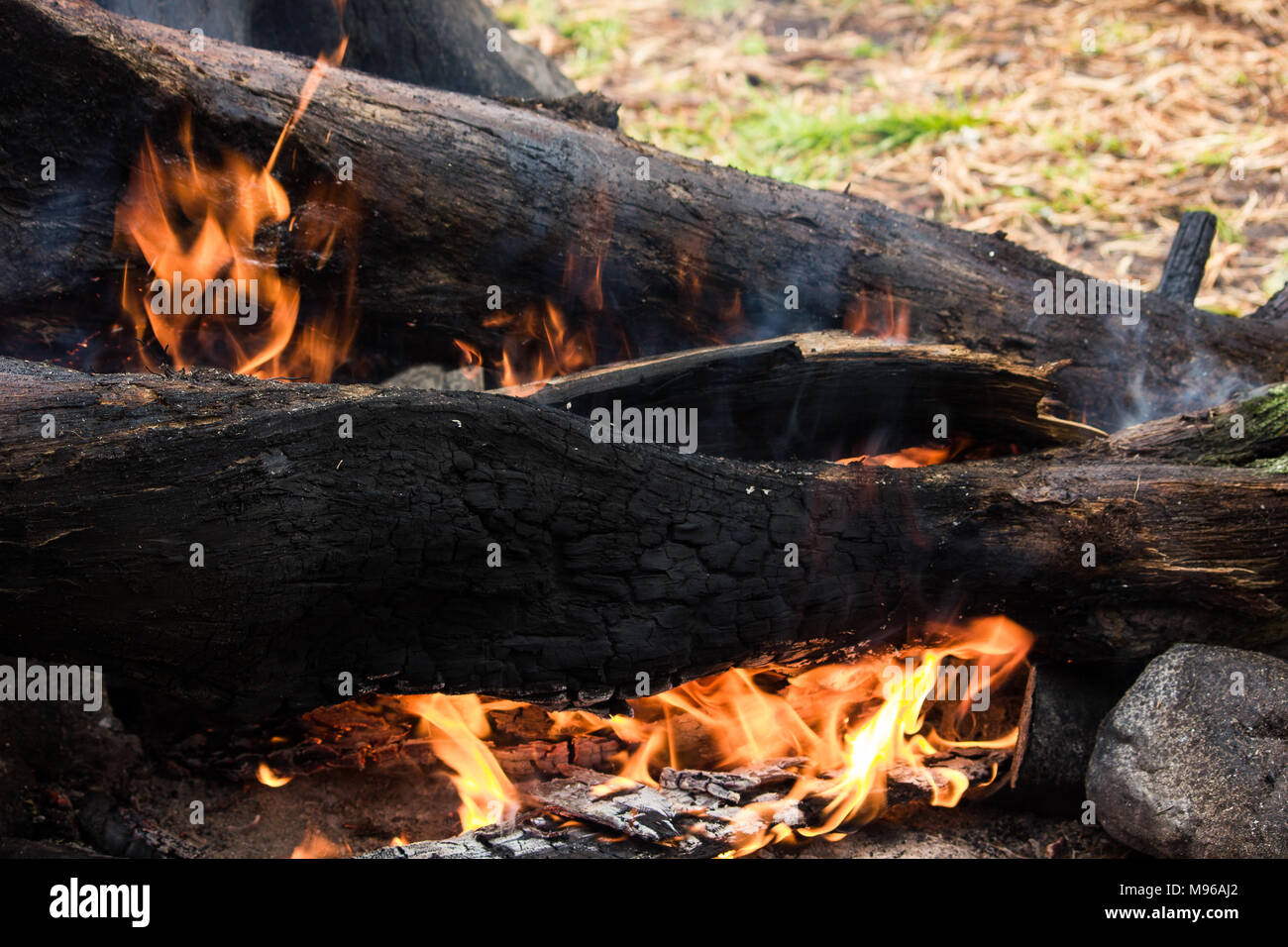 A large forest fire burns in the woods Stock Photo - Alamy