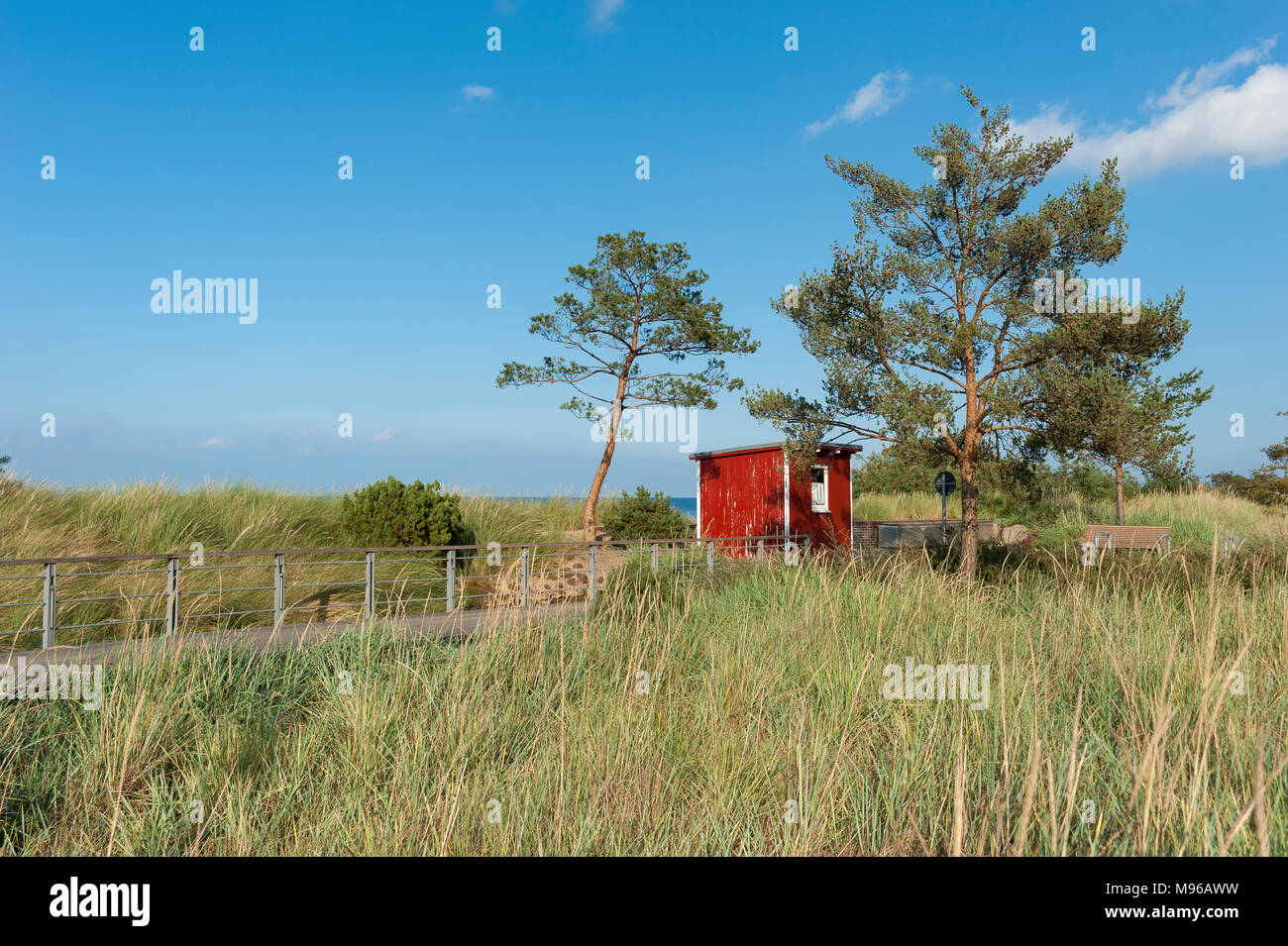 Dune landscape between the beach and beach promenade, Niendorf, Baltic ...