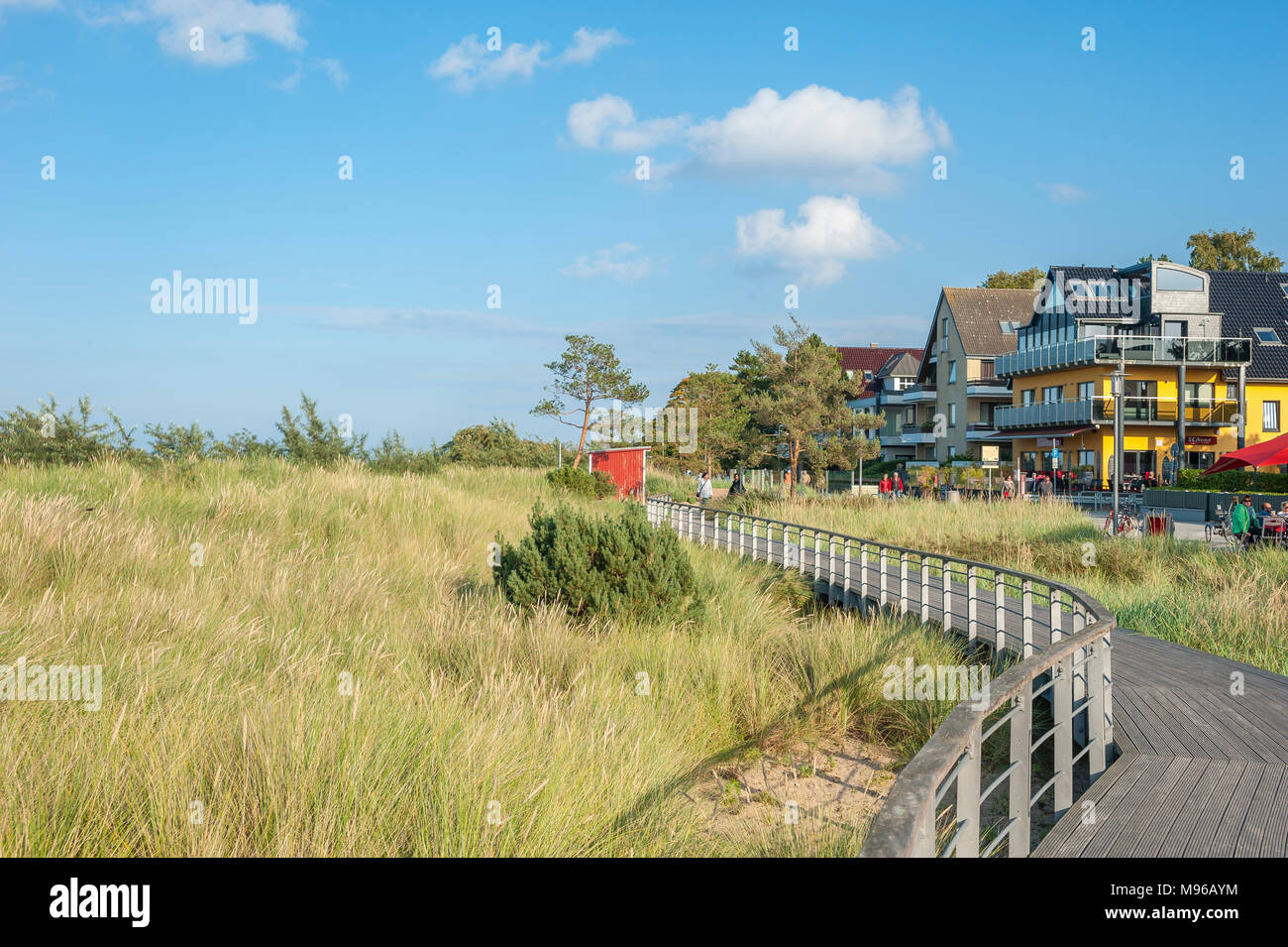Dune landscape between the beach and beach promenade, Niendorf, Baltic ...