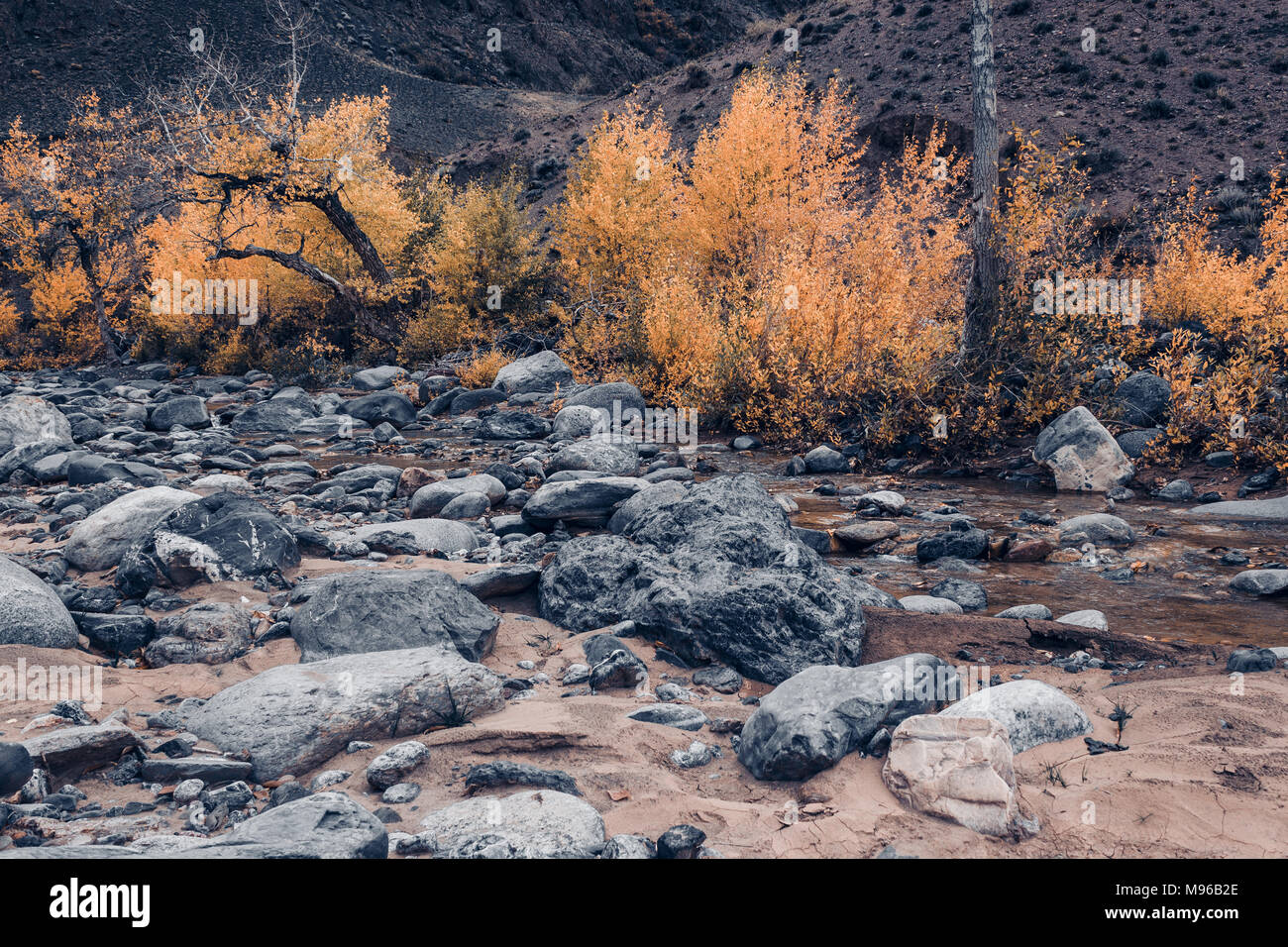 Dried up riverbed hi-res stock photography and images - Alamy