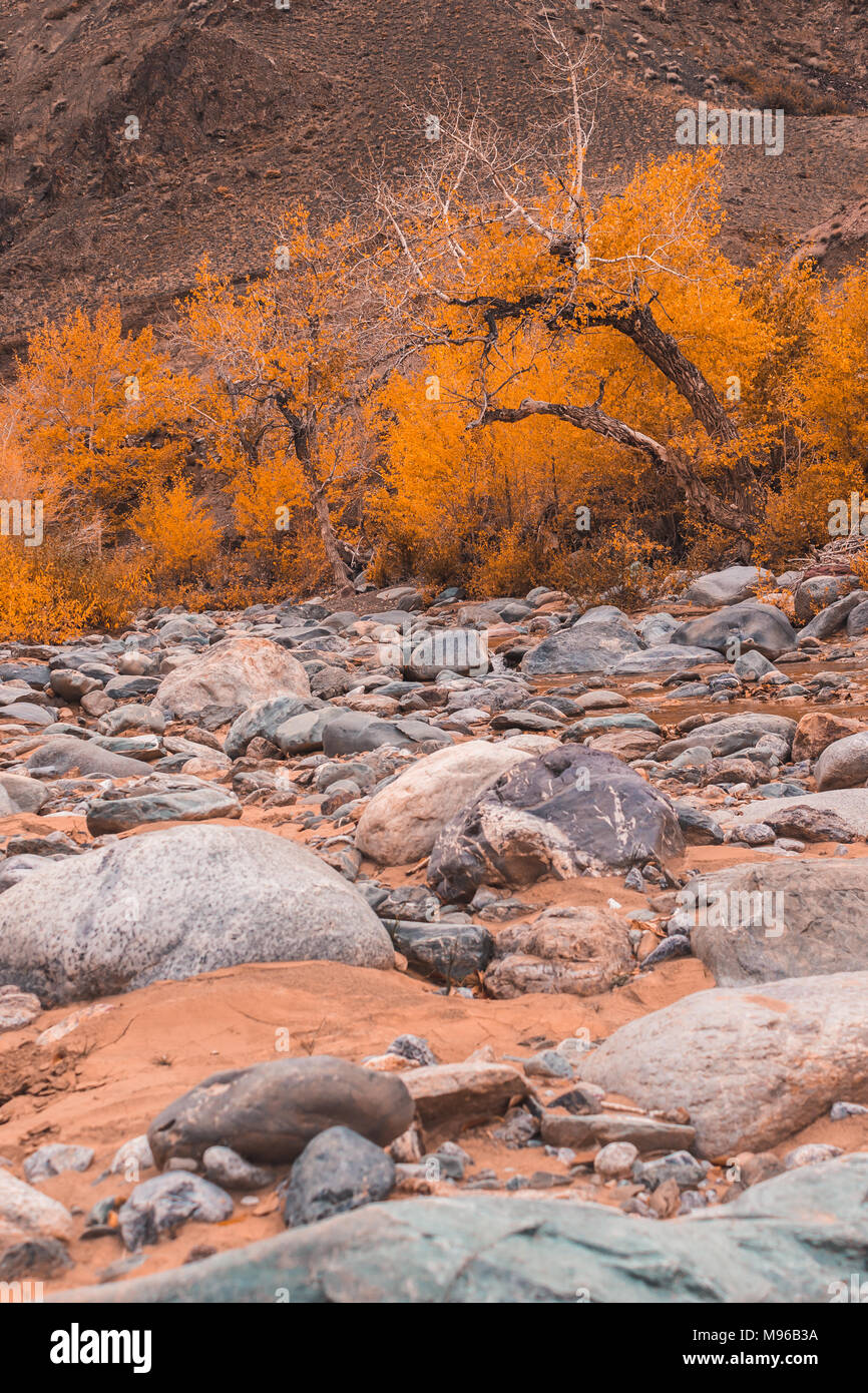 Dried up riverbed hi-res stock photography and images - Alamy