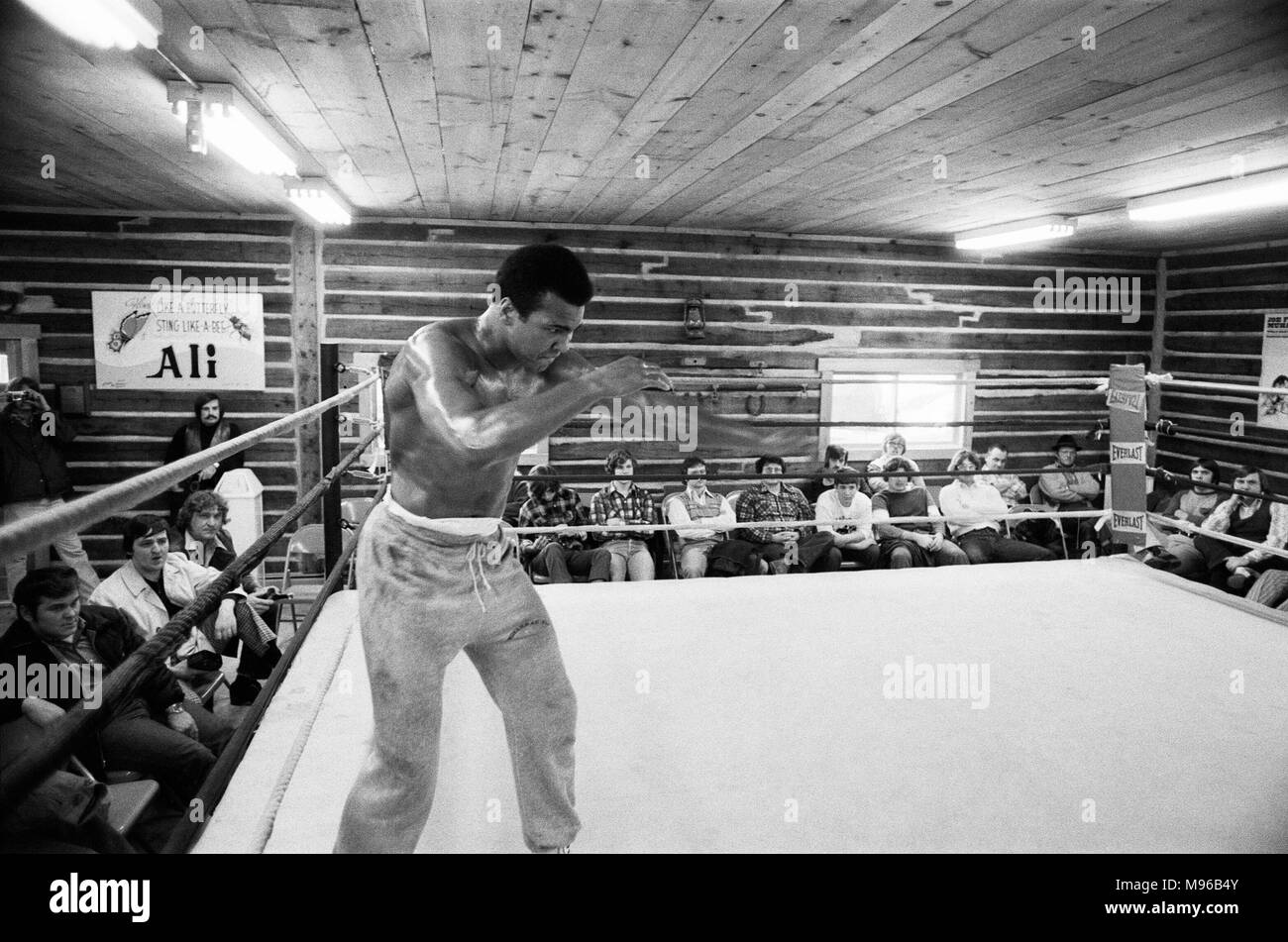 Muhammad Ali training at his camp in Deer Lake Pennsylvania. 23rd ...