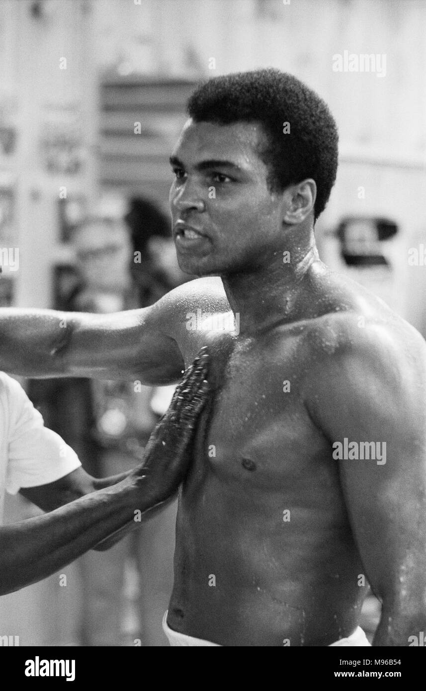Muhammad ali training camp in hi-res stock photography and images - Alamy