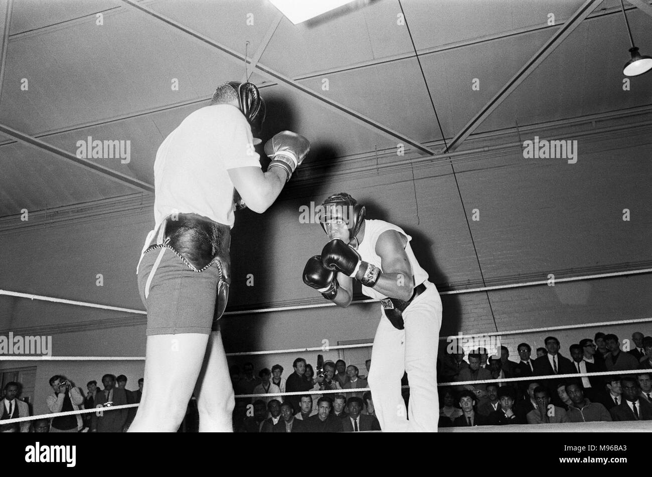 Cassius Clay (Muhammad Ali) training in White City ahead of his fight ...