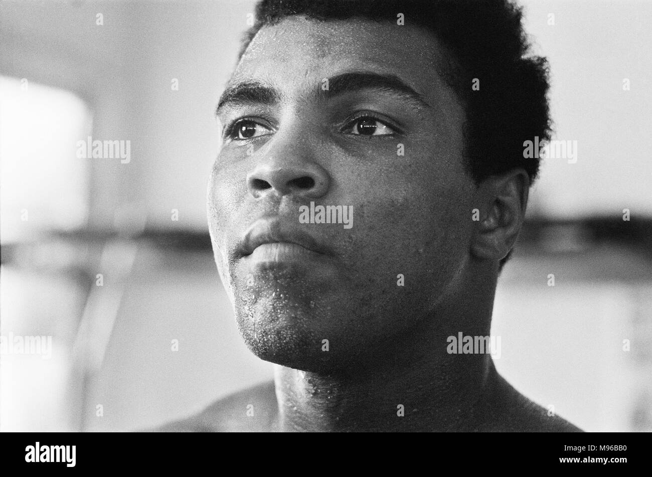 Boxing match 1970s Black and White Stock Photos & Images - Alamy