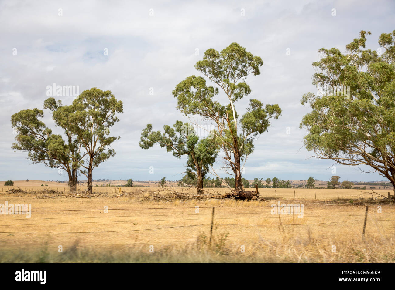 Junee farm hi-res stock photography and images - Alamy
