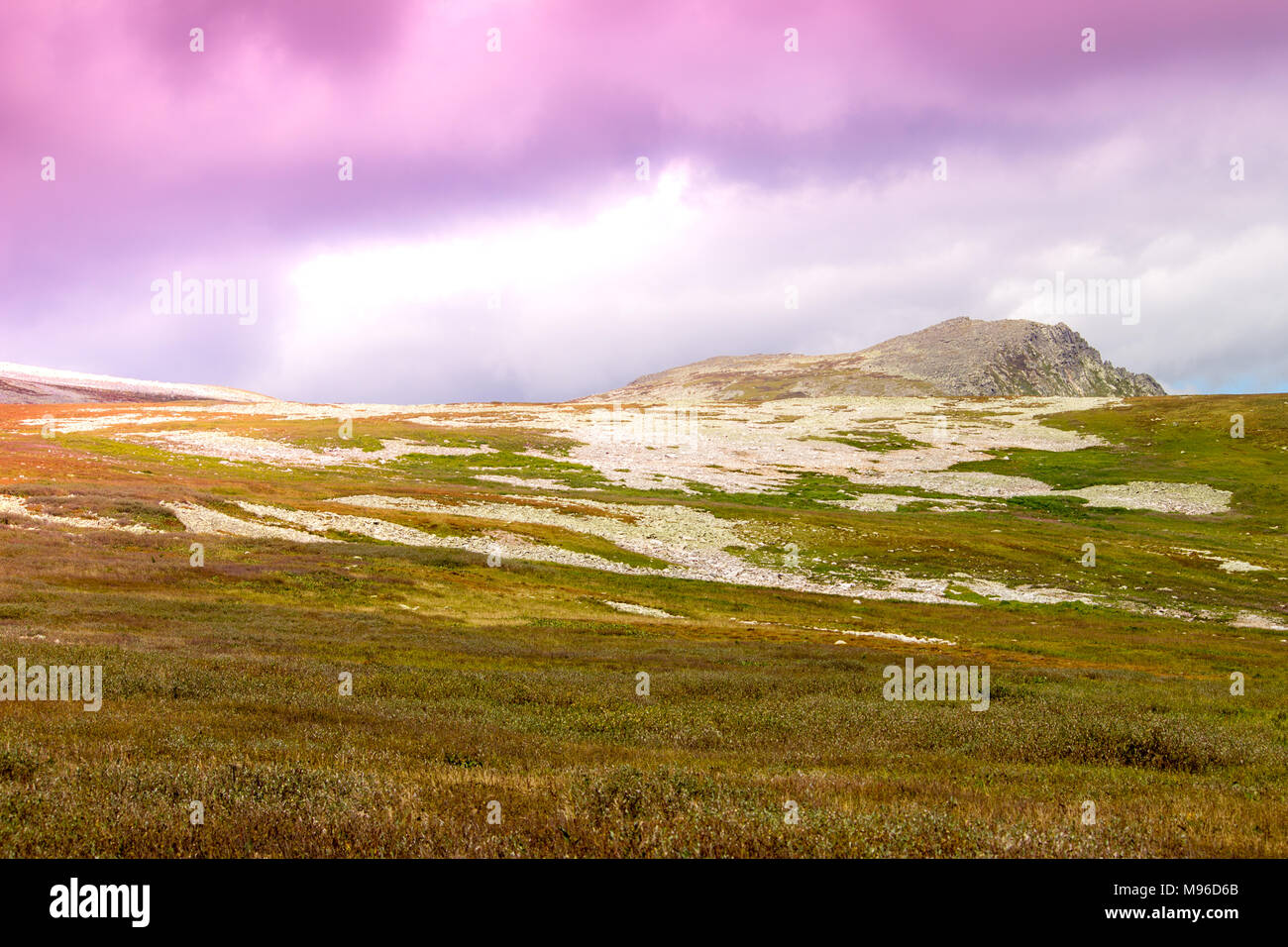 Gently sloping hills and pastel colors. Rocks under the pink sky ...