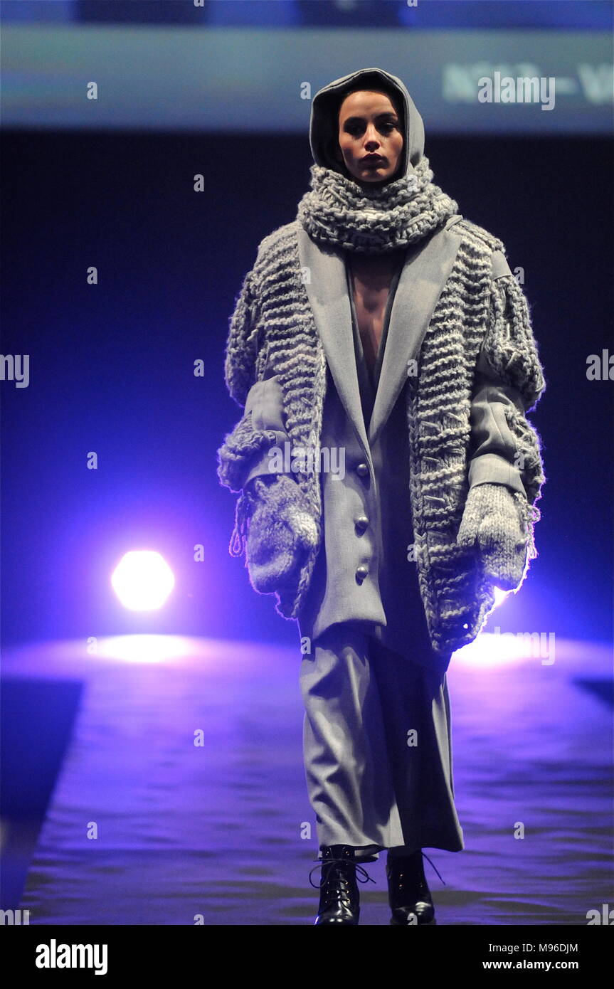 Military fashion Parade, Lyon, France Stock Photo - Alamy