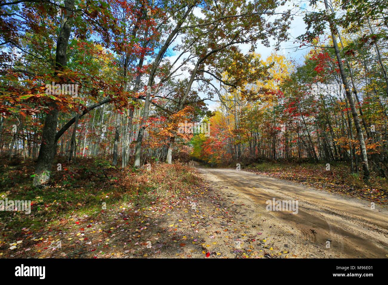 Autumn in Roscommon State Forest Michigan Stock Photo - Alamy