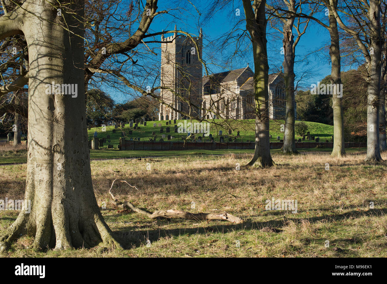 beautiful church amongst trees Stock Photo - Alamy