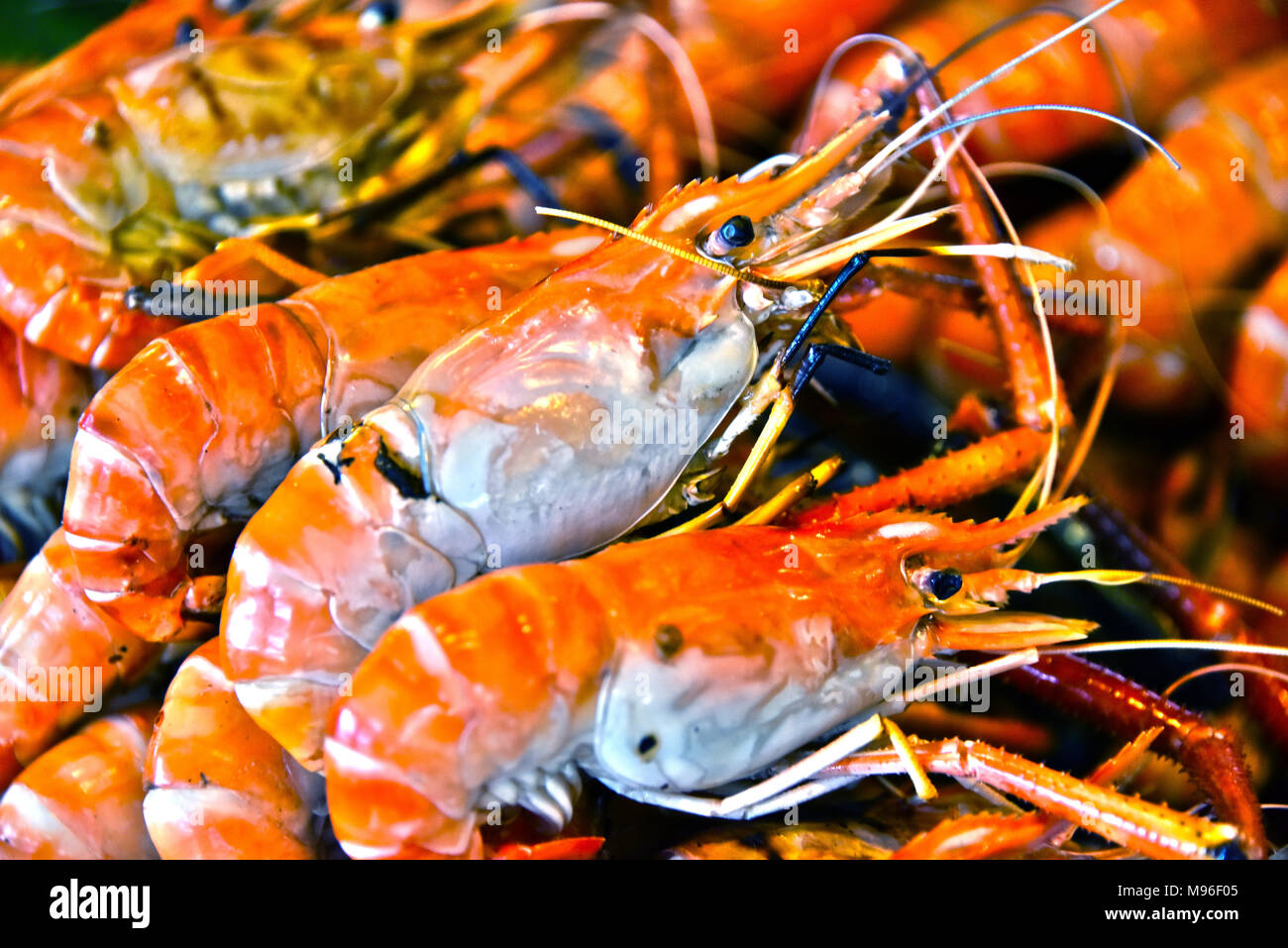 Prawn food in the street restaurant in Thailand Stock Photo - Alamy