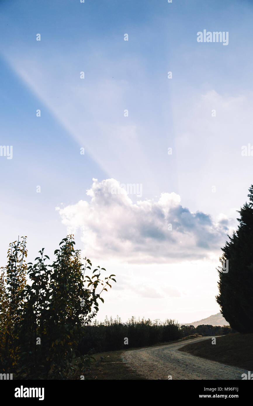 Orchard with sky hi-res stock photography and images - Alamy