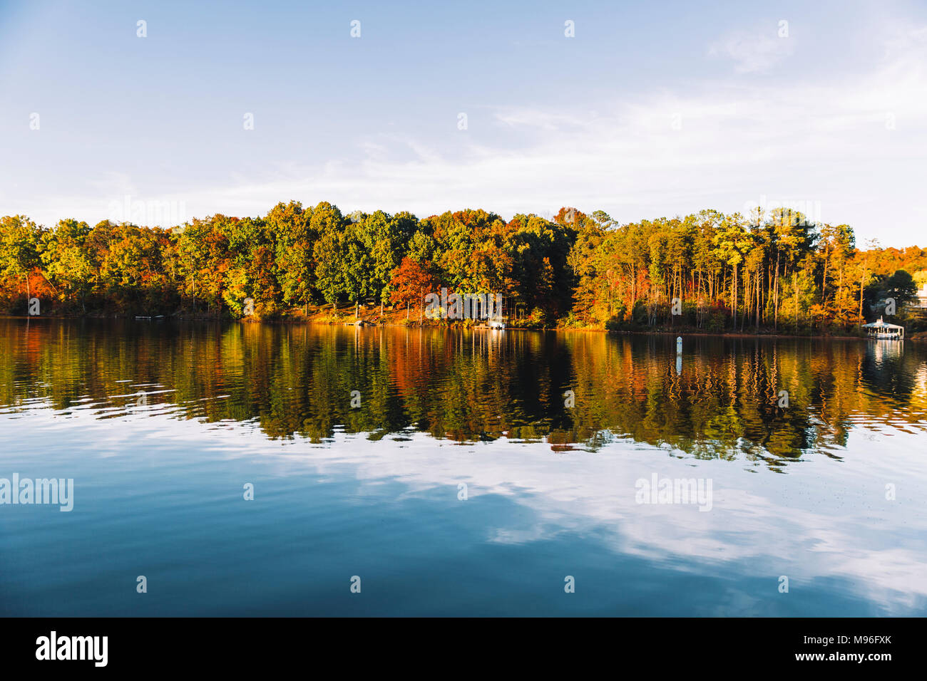 Lake landscape with trees Stock Photo - Alamy