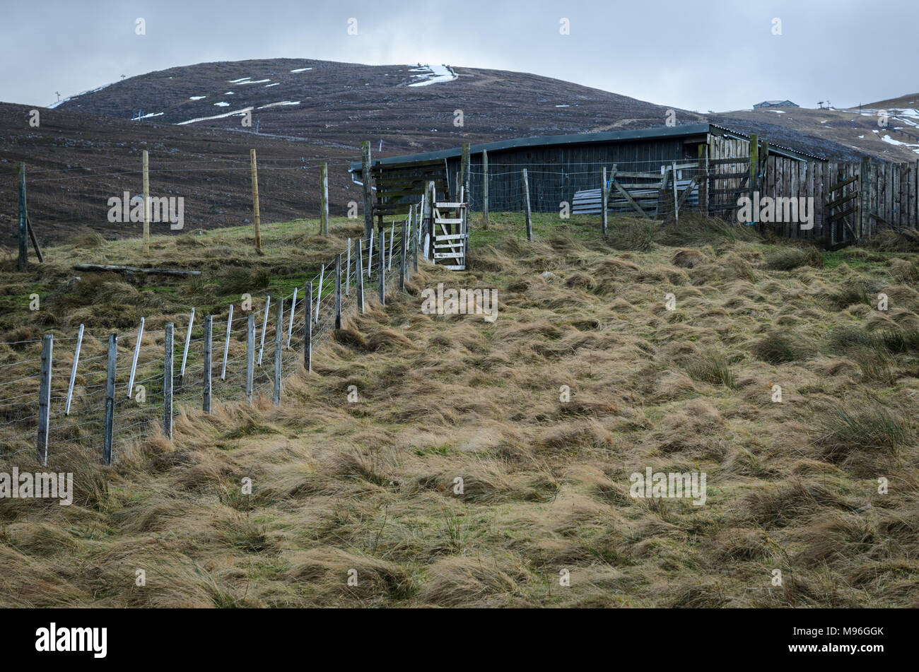 Paddock fence hi-res stock photography and images - Alamy