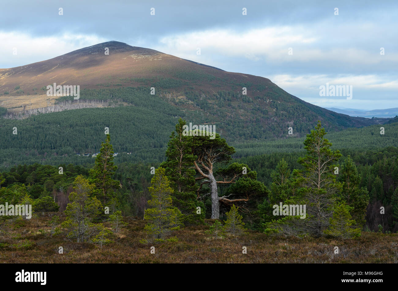 Contrasts of Sun and Shadow playing across the Scottish Highlands Stock ...