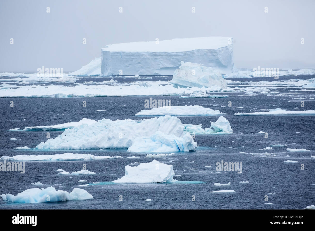 floating tabular iceberg, Hope By, Antarctic Peninsula, Antarctica ...