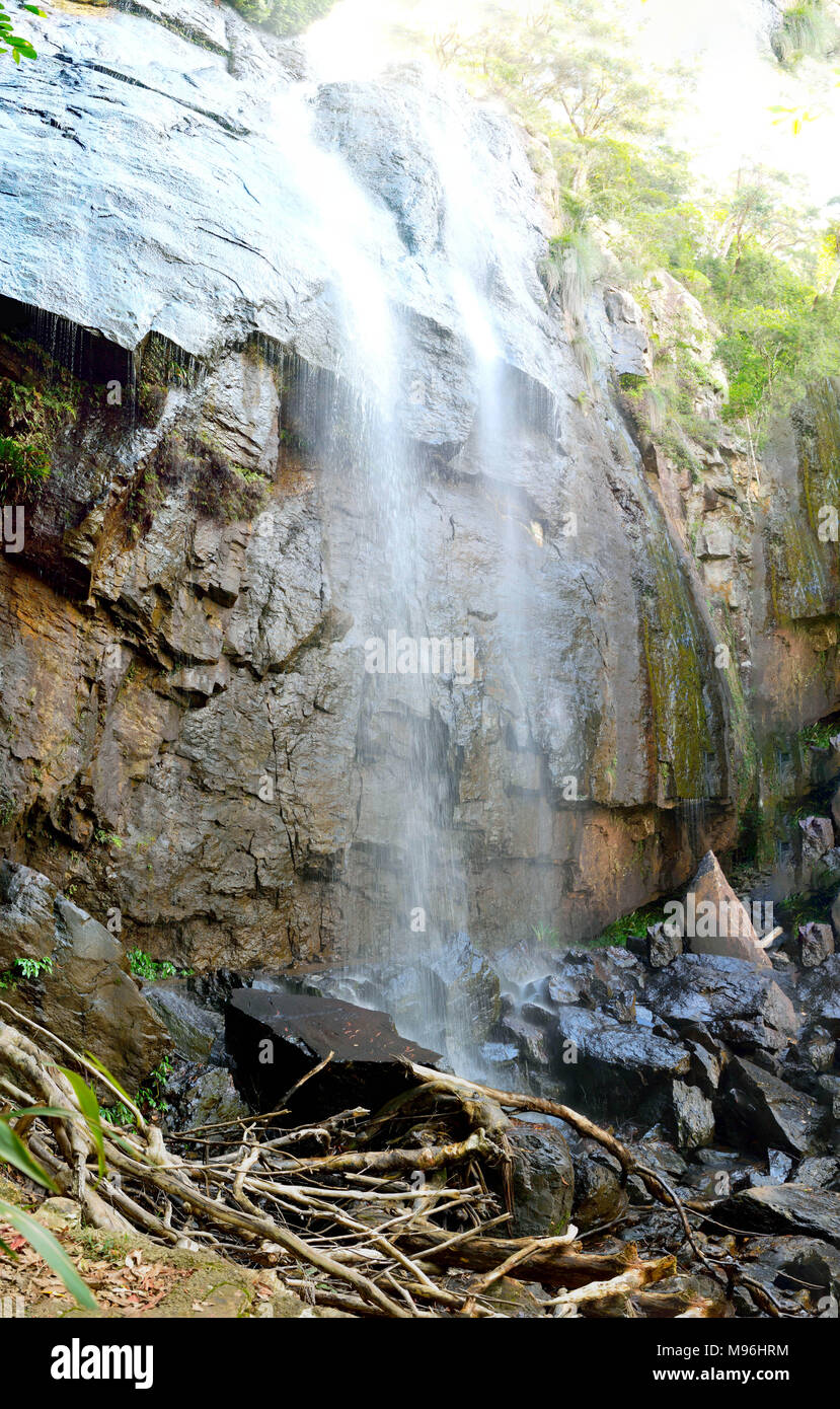 Blackfellow Falls in Springbrook National Park, Queensland, Australia ...