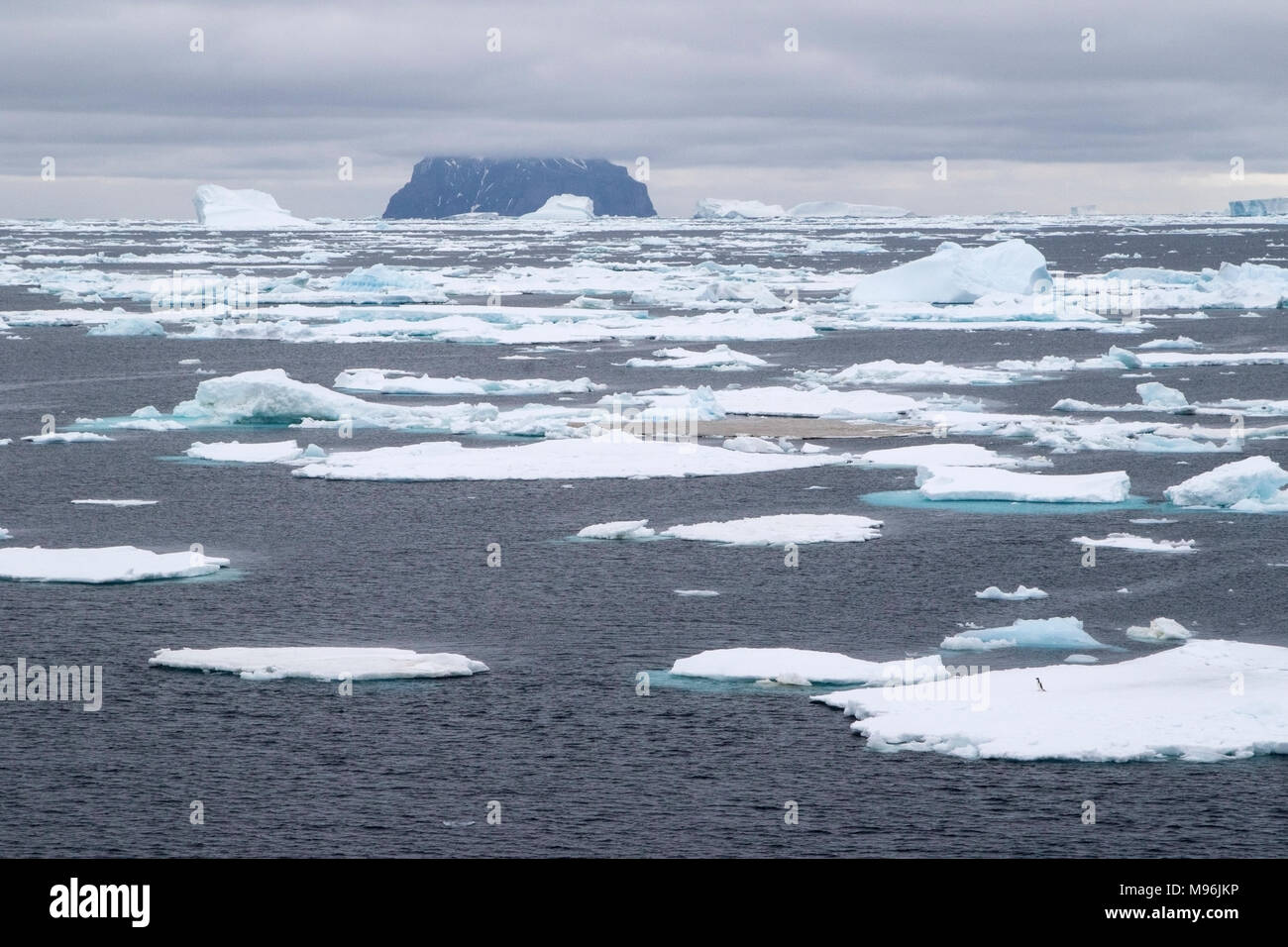 icebergs with blue ice and brash ice, Weddell Sea, Antarctica Stock ...