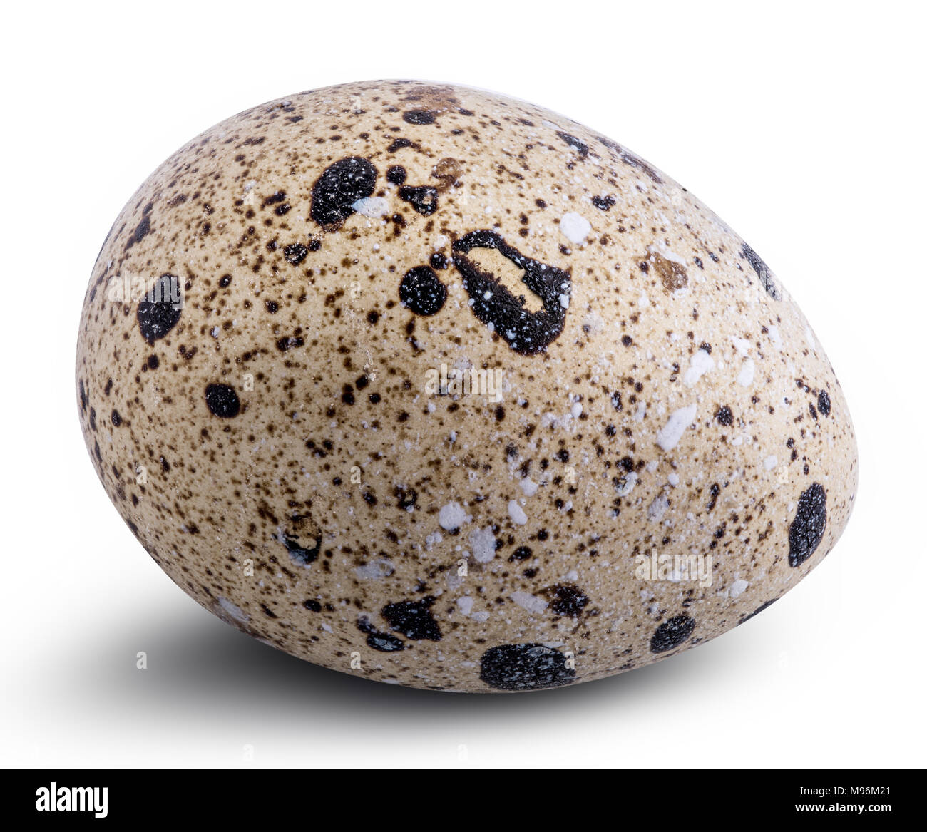 quail egg isolated on white background with clipping path Stock Photo ...