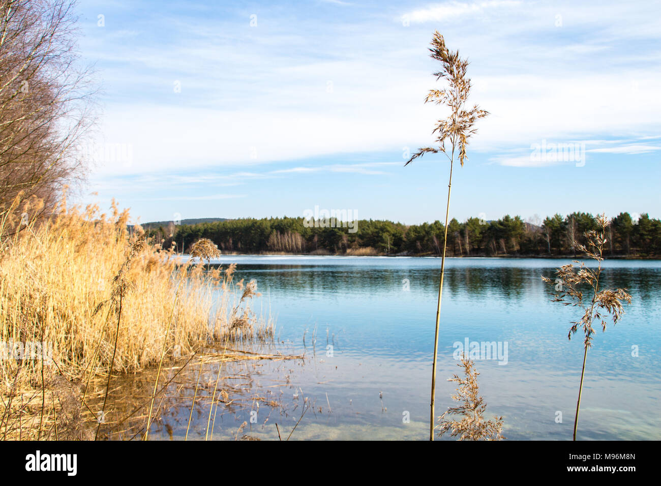 Nature Landscape Lake with Rushes in front Stock Photo - Alamy