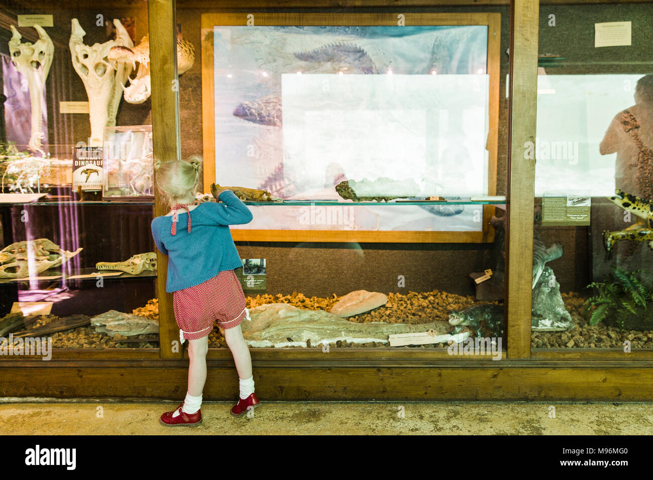 Child museum exhibit science hi-res stock photography and images - Alamy