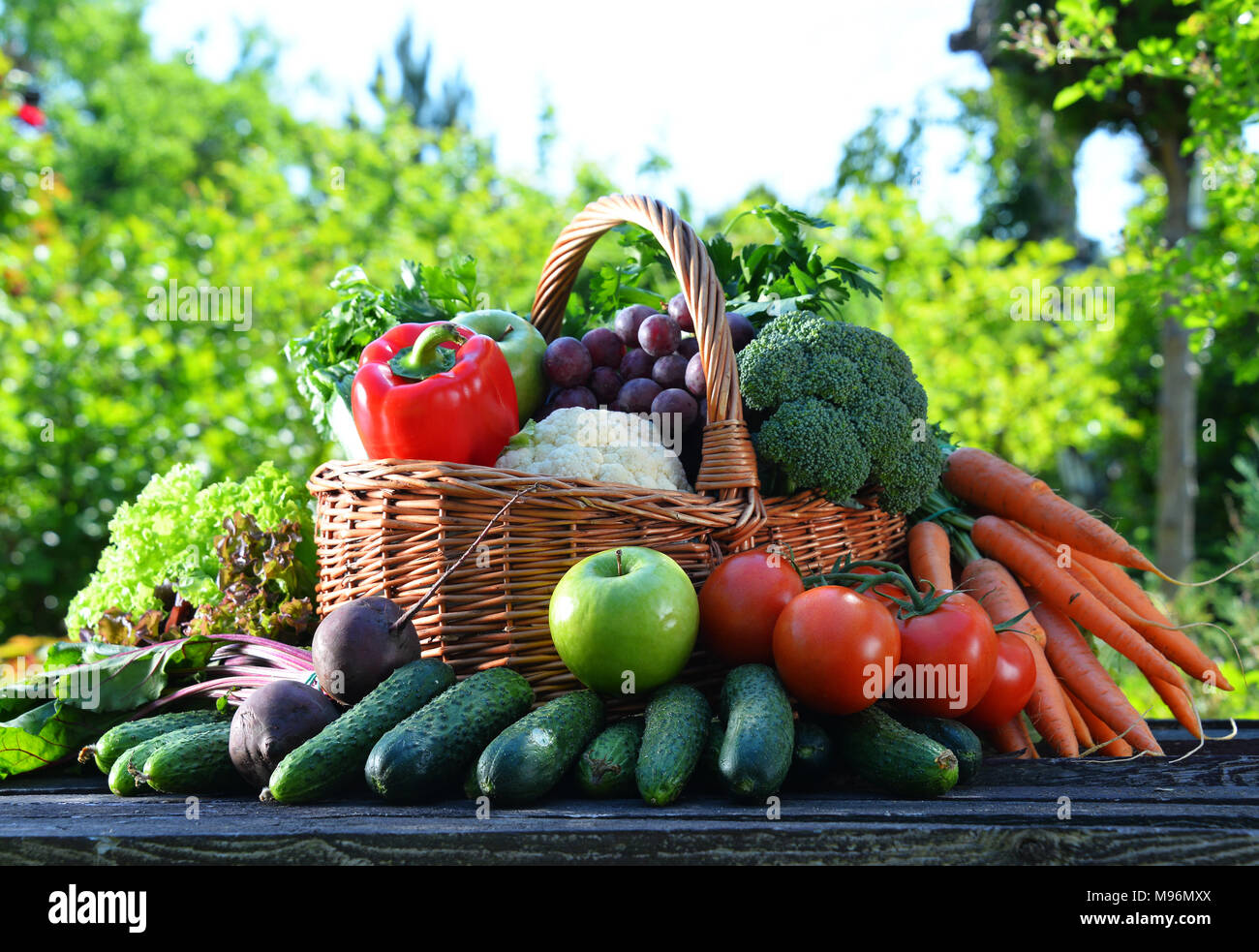 Variety of fresh organic vegetables and fruits in the garden. Balanced ...