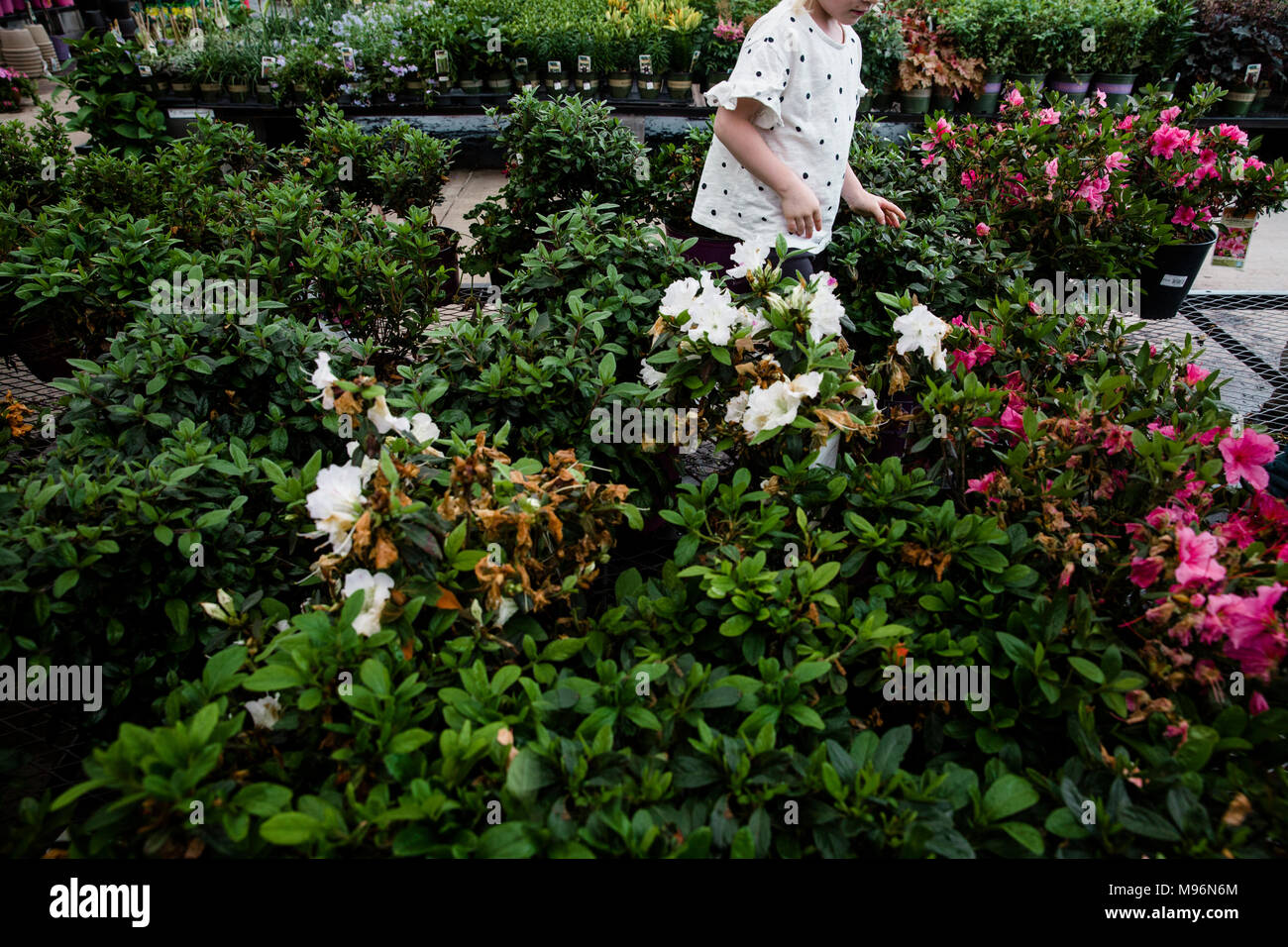 Girl walking around Garden Center Stock Photo - Alamy