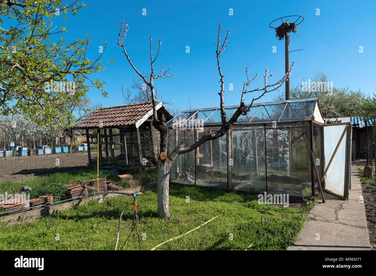 Country house backyard Spring time Stock Photo - Alamy