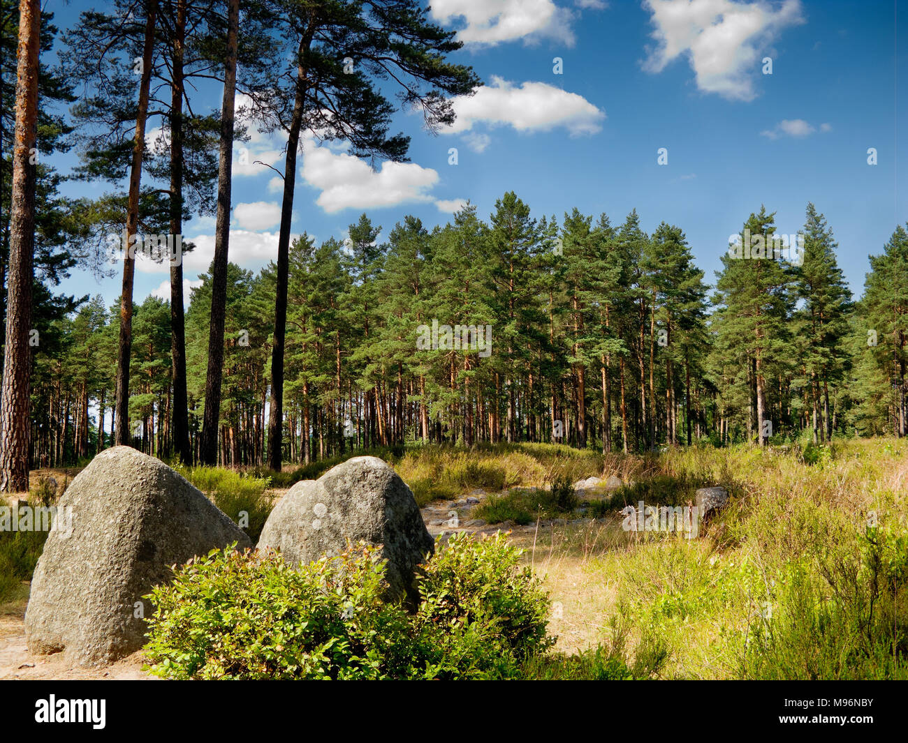 'Stone Circles' reserve. Wielbark culture graveyard (1st. century) of ...